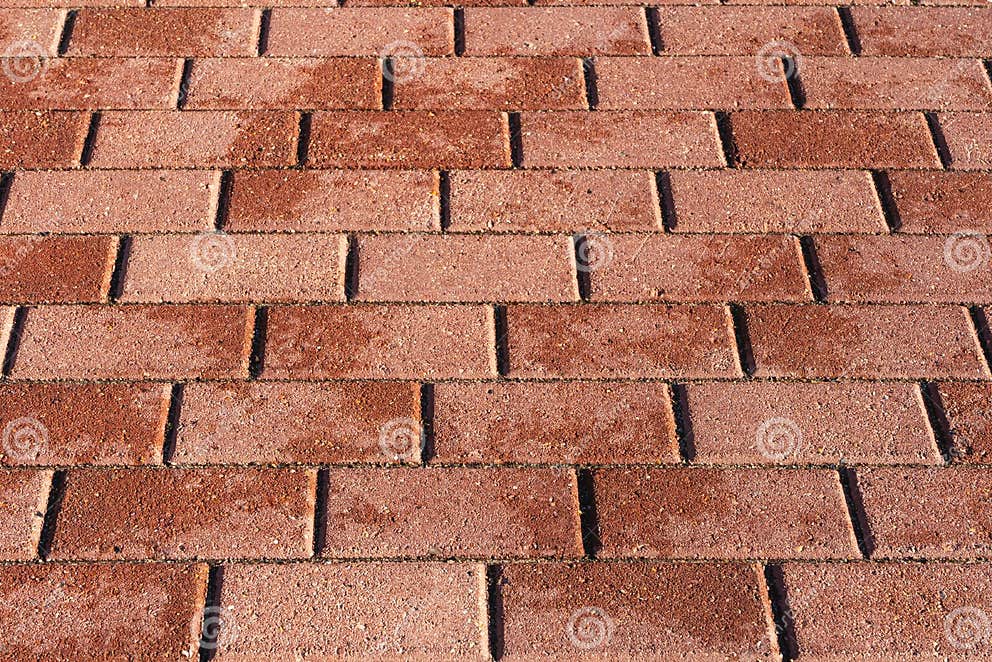 The Path is Lined with Red Paving Tiles Stock Image - Image of road ...