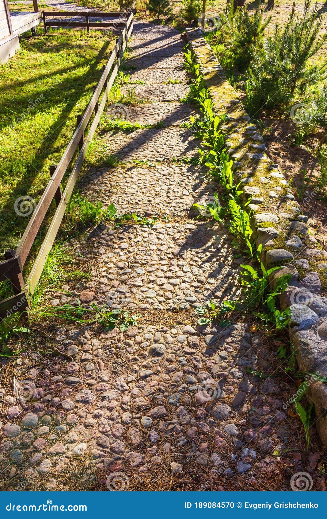 Path Lined with Rocks Pavers in Back Yard Garden Stock Photo - Image of ...