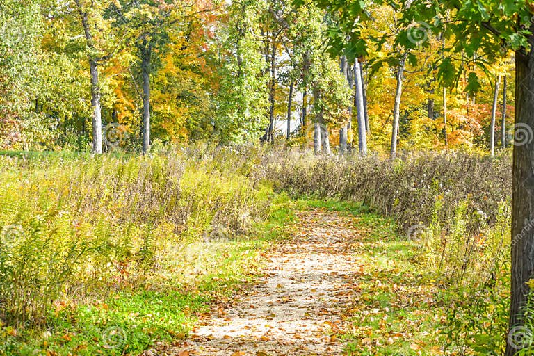 Path through Lizard Mound County Park Stock Photo - Image of indians ...