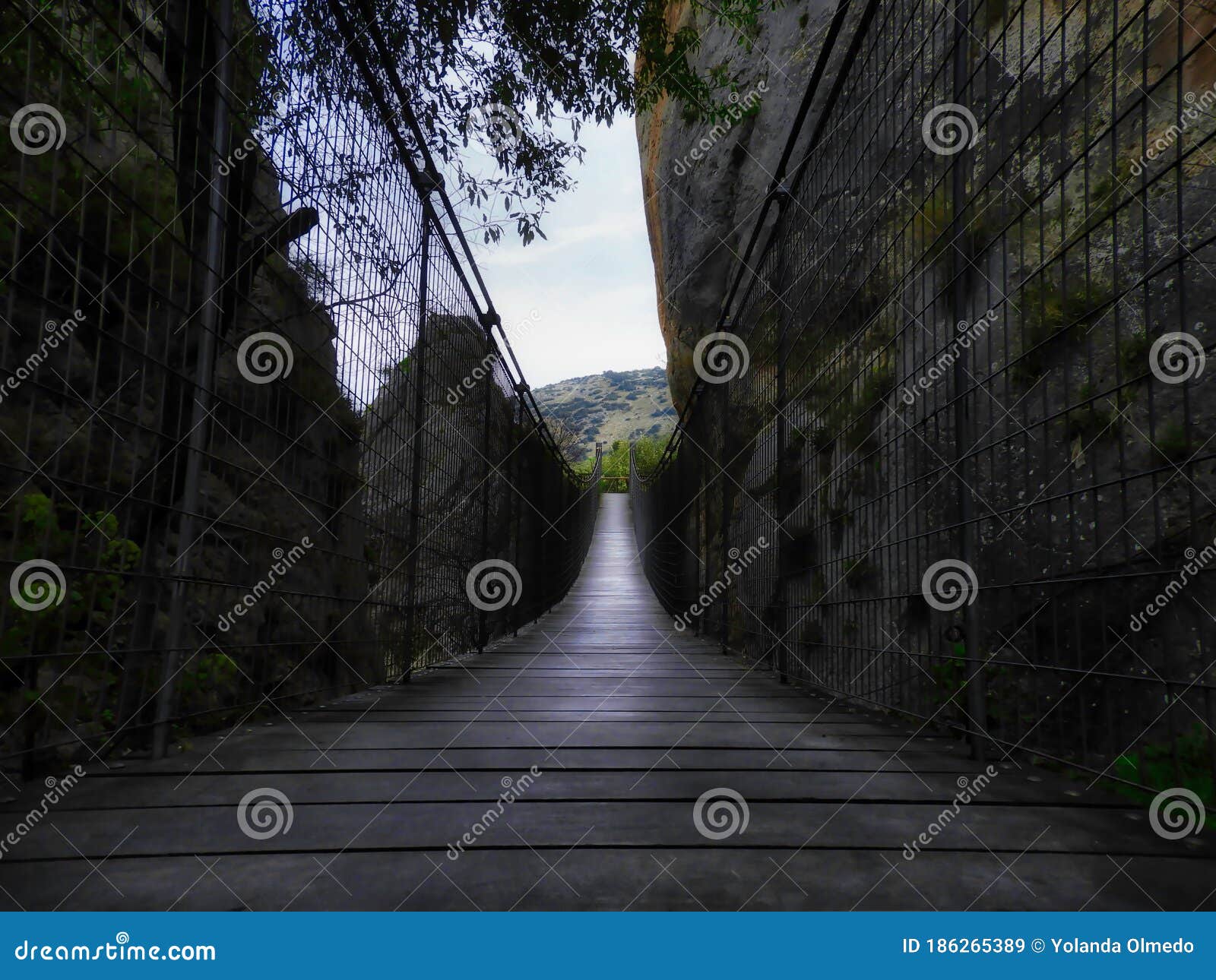 Path in a Lonely Bridge with a Fence at the Sides Stock Image - Image ...