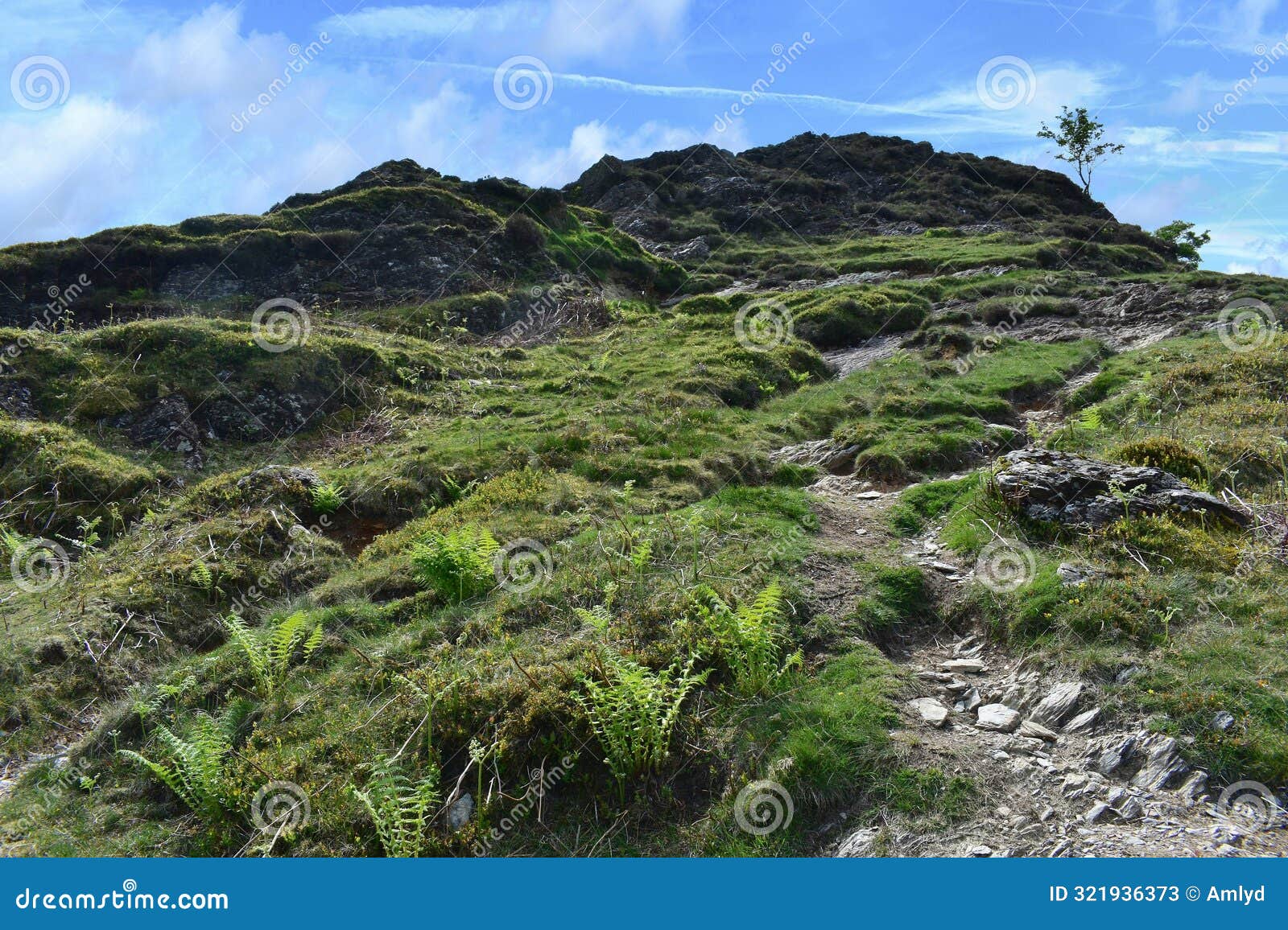 On Path Looking Up Scope End Stock Image - Image of newlands, healthy ...