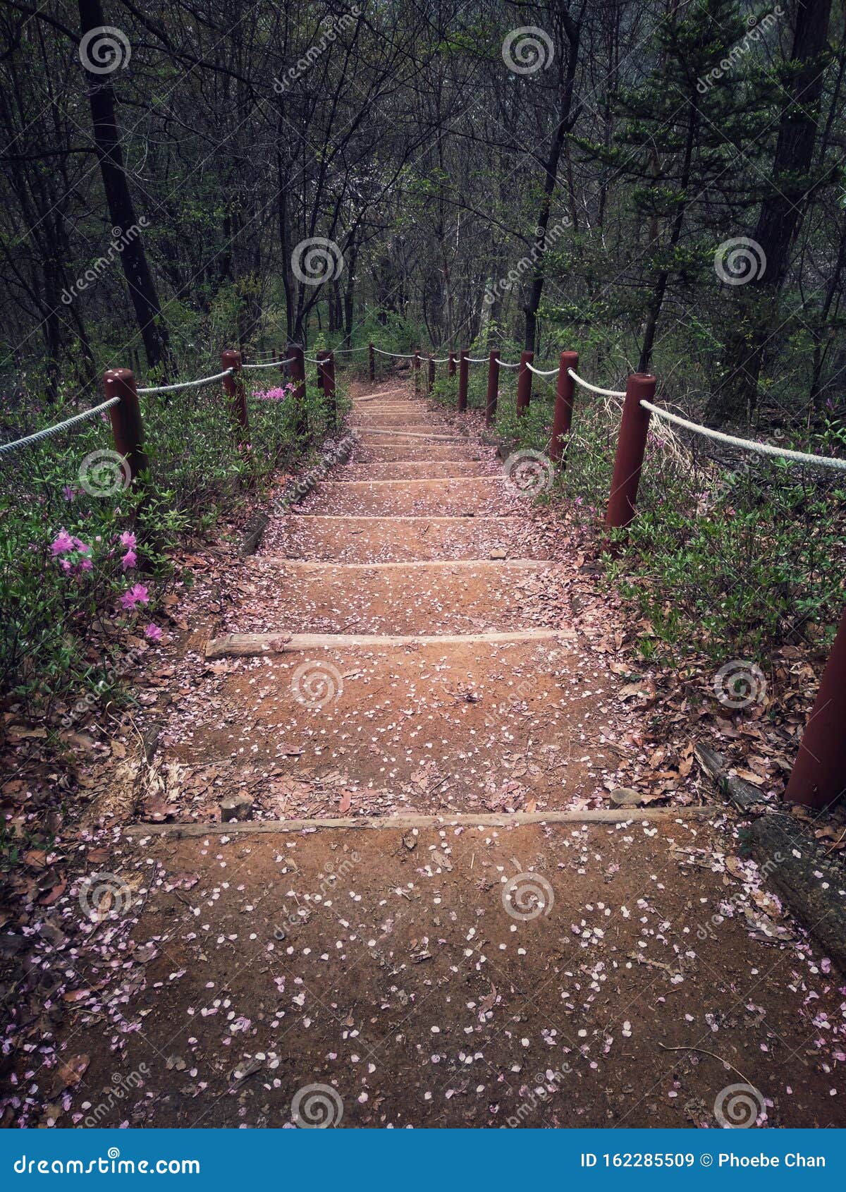 Path of Love stock image. Image of path, love, hike - 162285509
