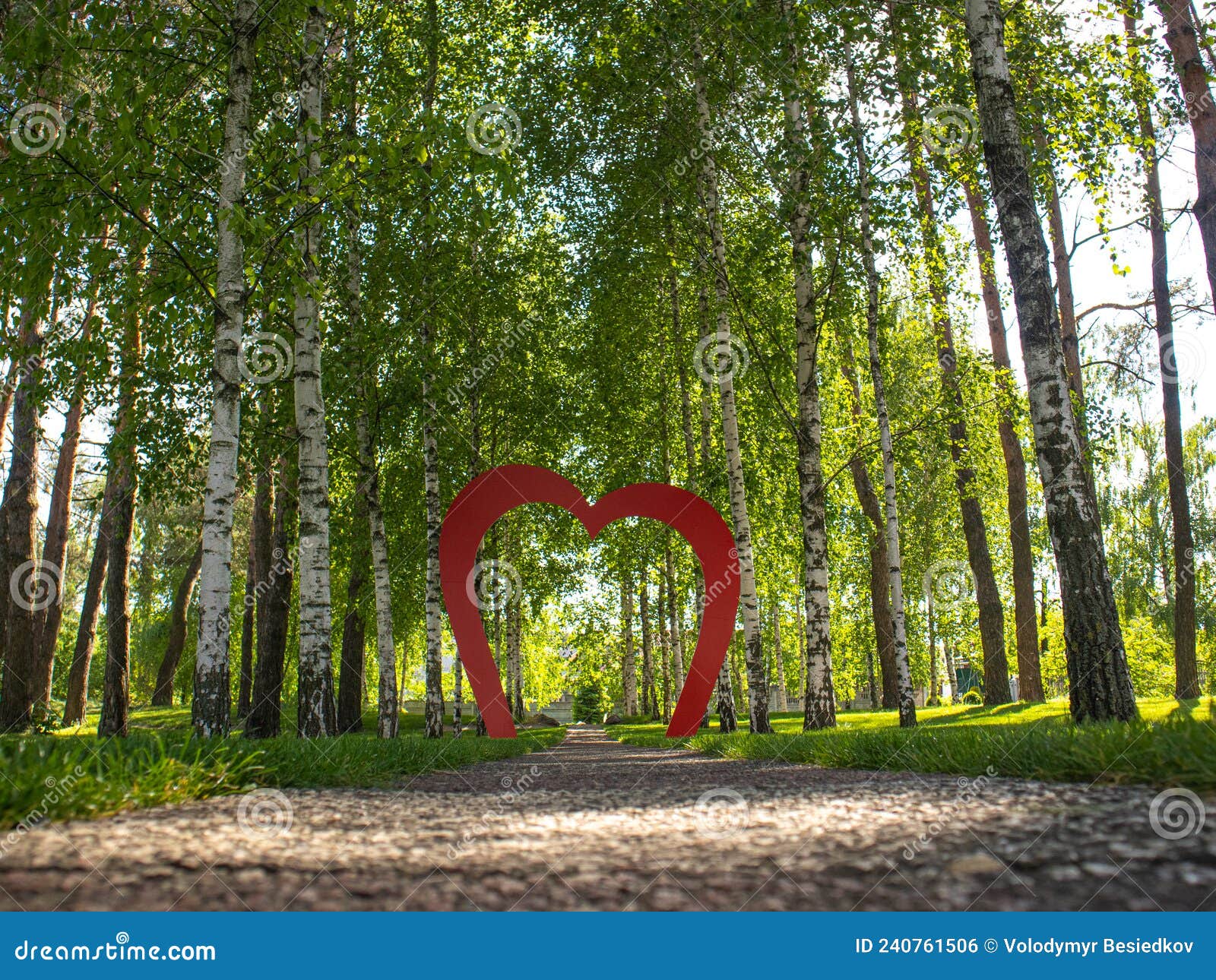 Path of love stock photo. Image of birch, love, summer - 240761506