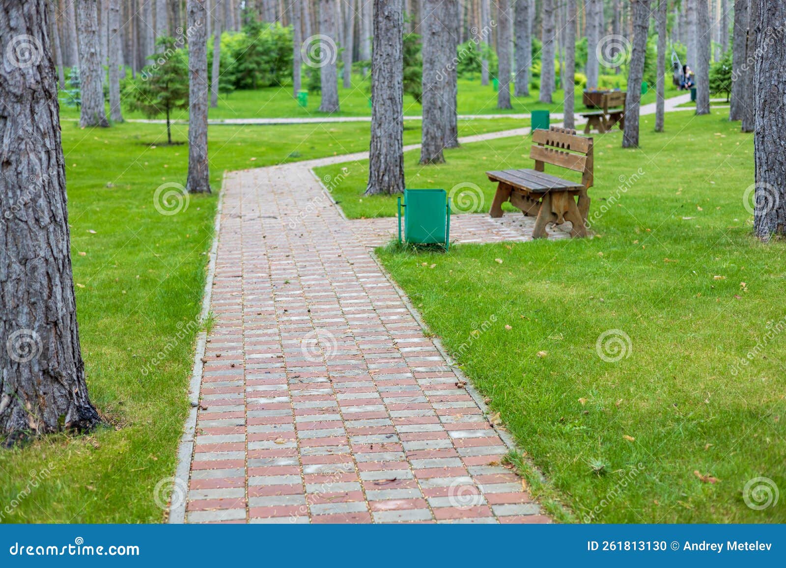 Path Made of Bricks Going through the Forest, Trees and Grass with ...