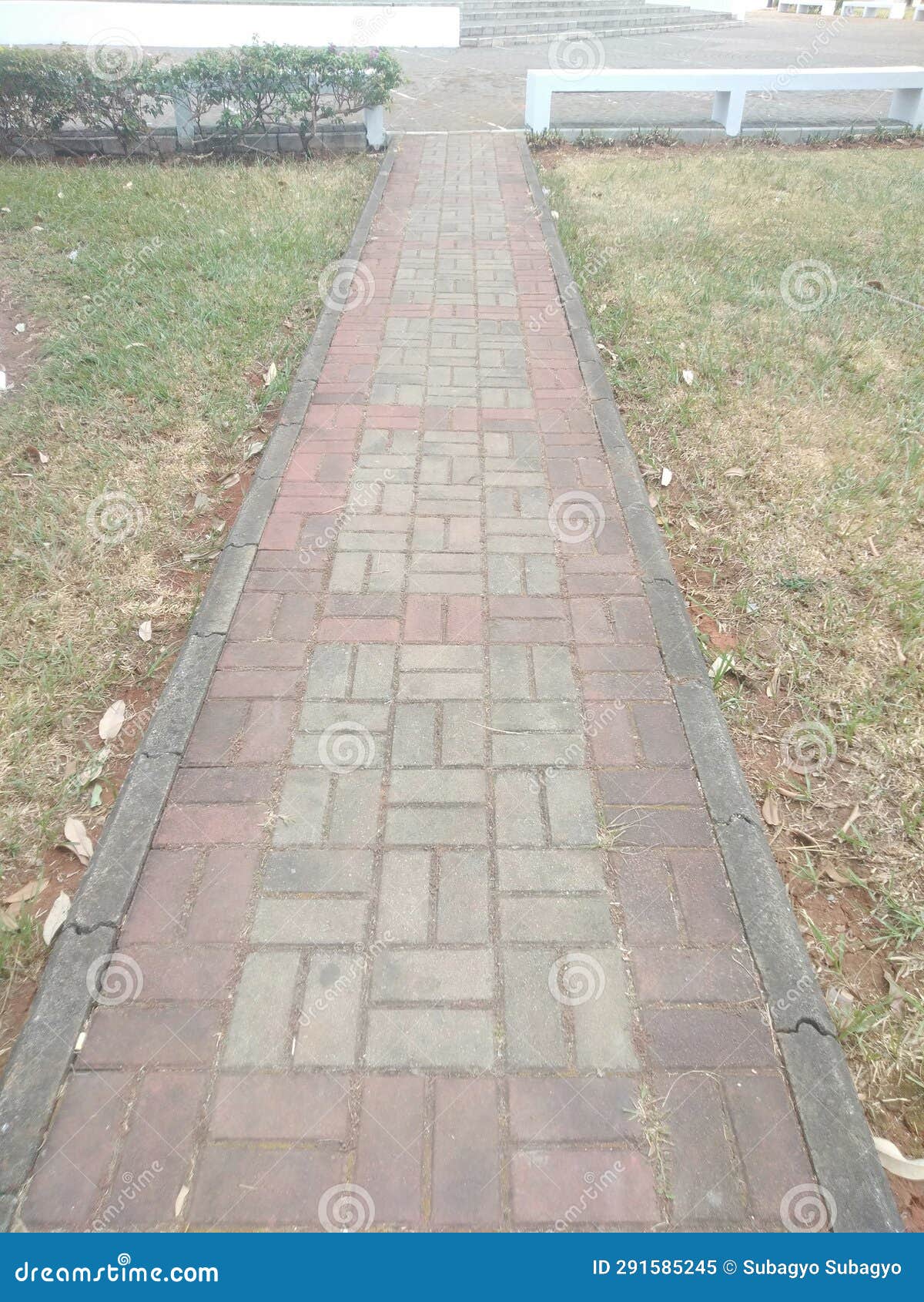 Path Made of Paving Blocks in a City Park Stock Image - Image of ...