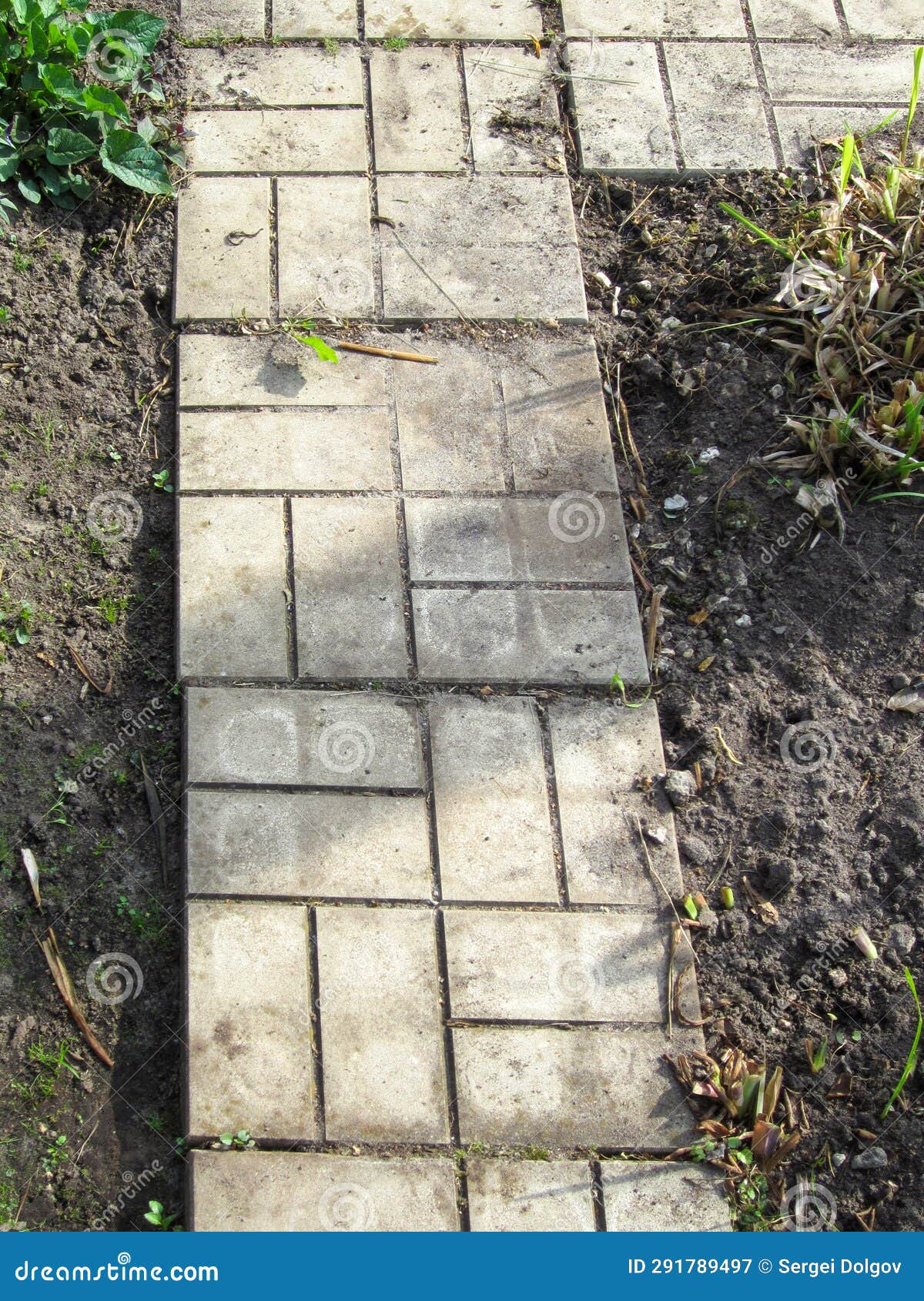 Path Made of Paving Slabs in the Backyard of the Cottage. Stock Image ...