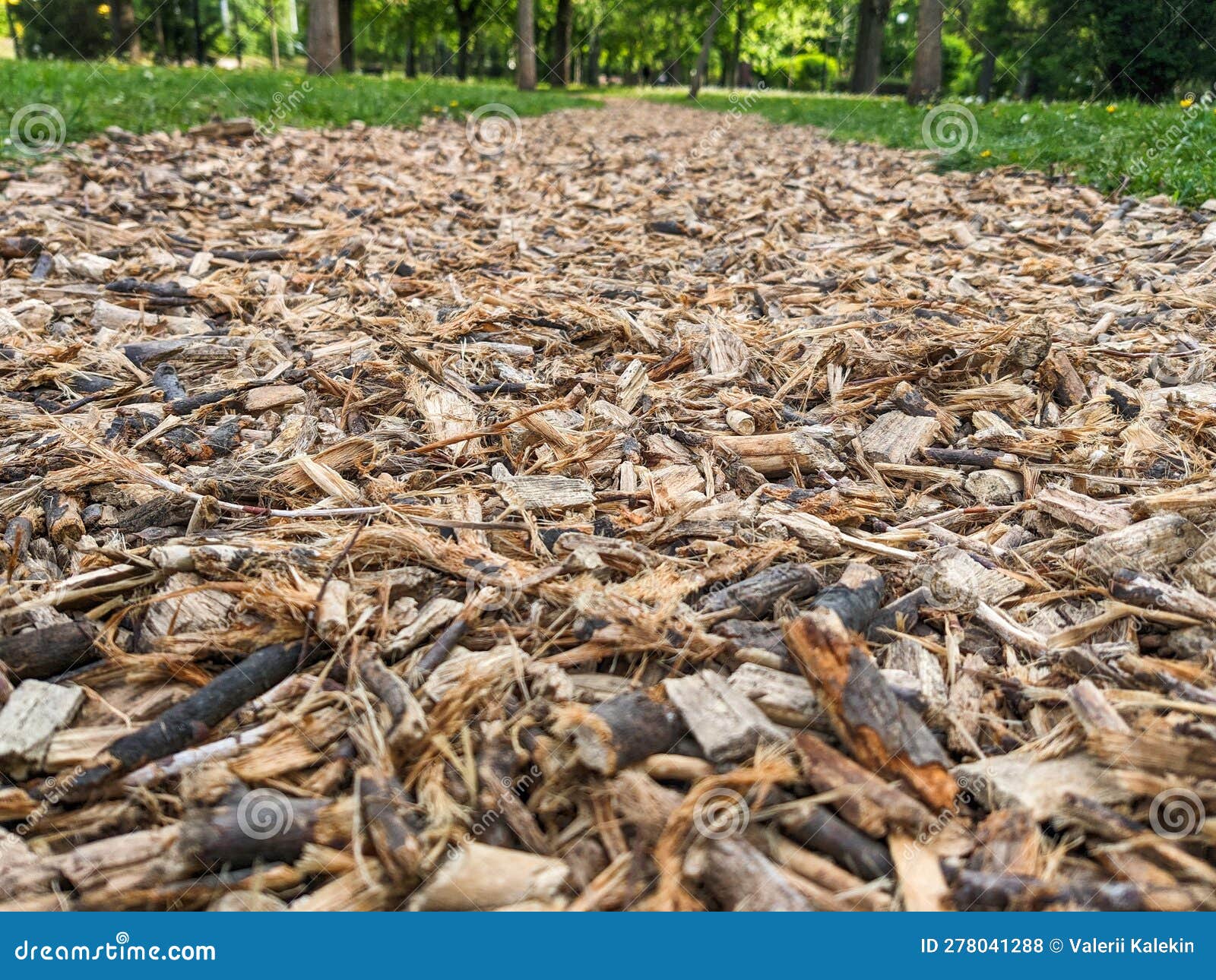A Path Made of Sawdust in the Park Stock Photo - Image of green, trees ...