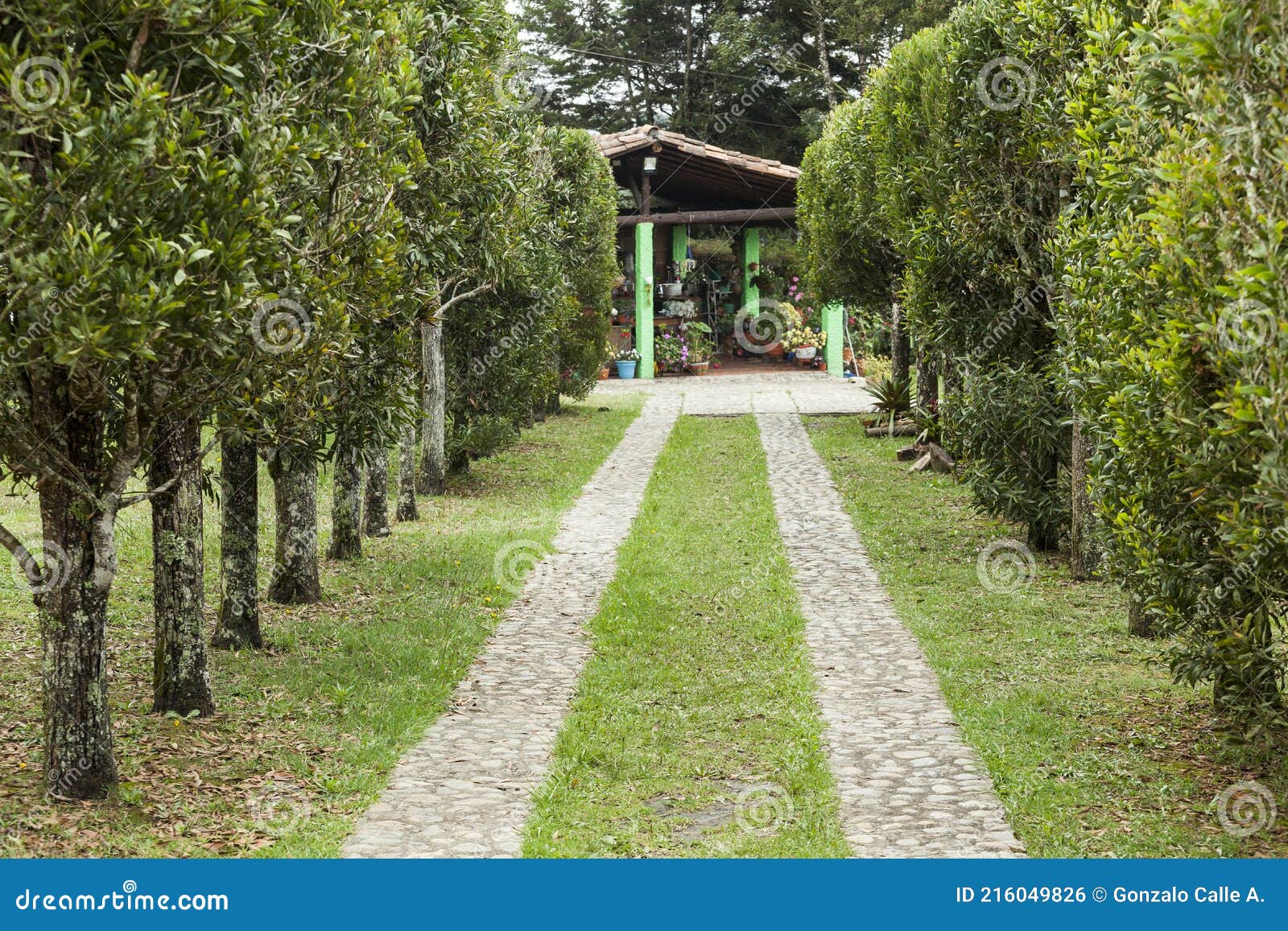 The Path Made with Stones; a Car Track on the Grass Stock Photo - Image ...