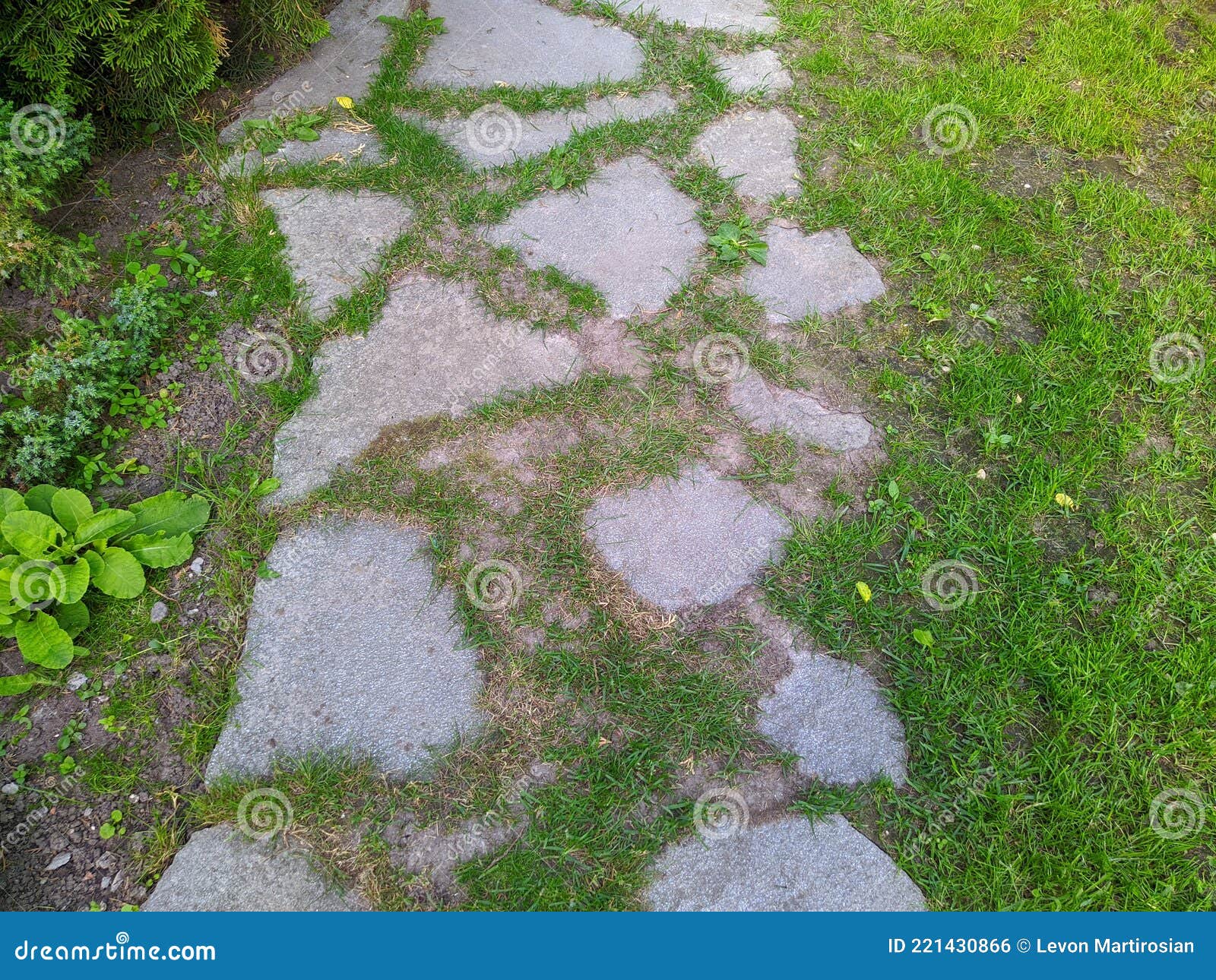 Path Made of Stones Overgrown with Grass. Stock Photo - Image of ...