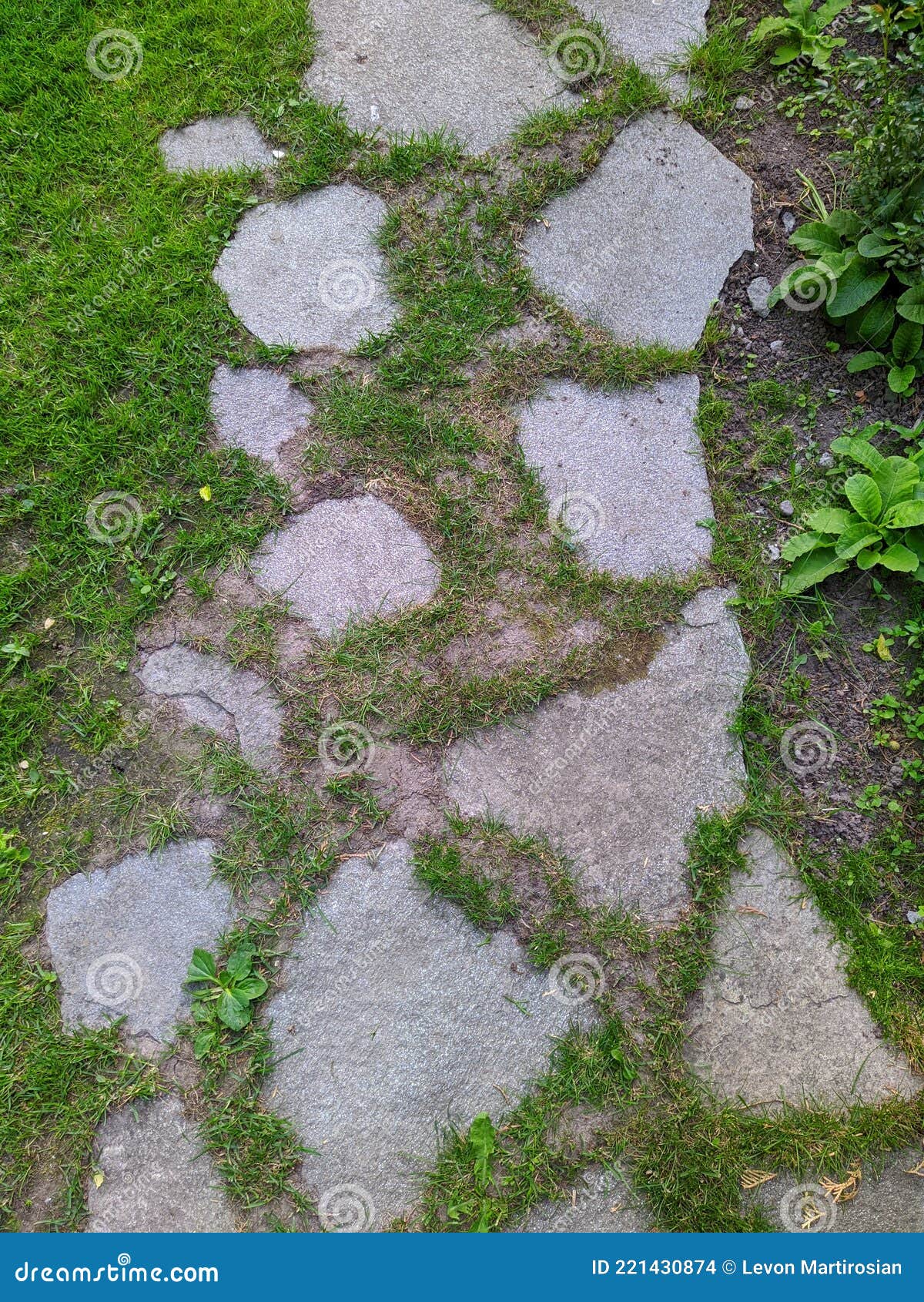 Path Made of Stones Overgrown with Grass. Stock Photo - Image of ...