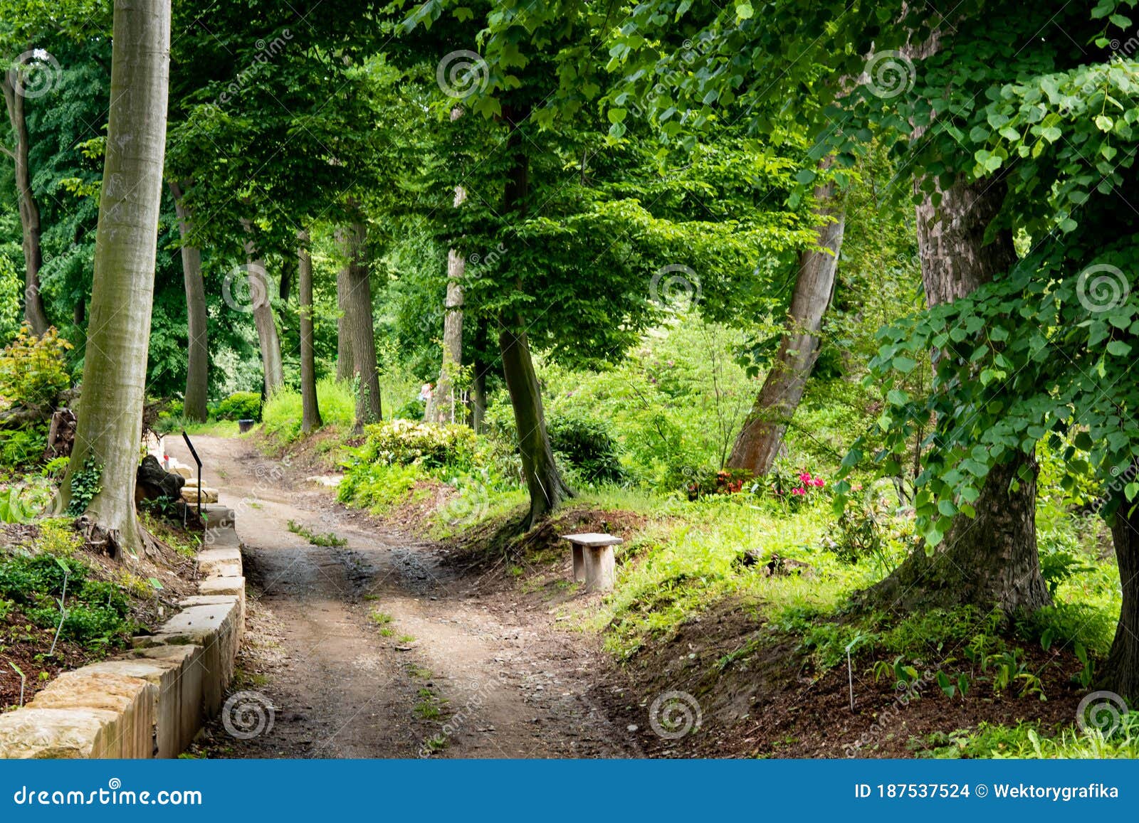 Landscape, Pathway, High And Steep Wooden Floor, Beautiful Sky ...