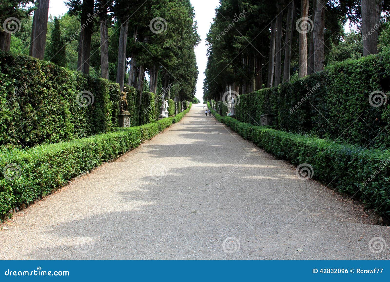 Path with Many Trees on Either Side Stock Photo - Image of vegetation ...