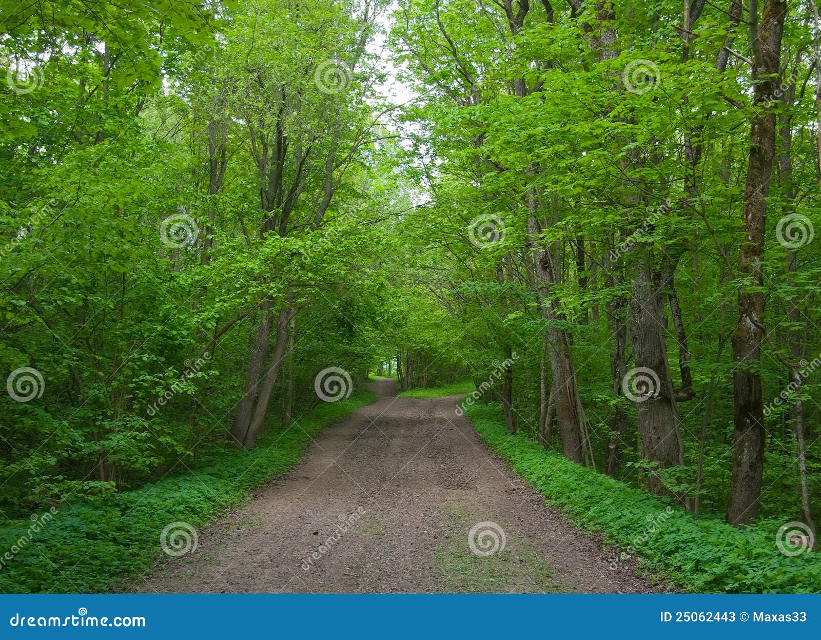 A path in maple park. stock image. Image of path, deciduous - 25062443