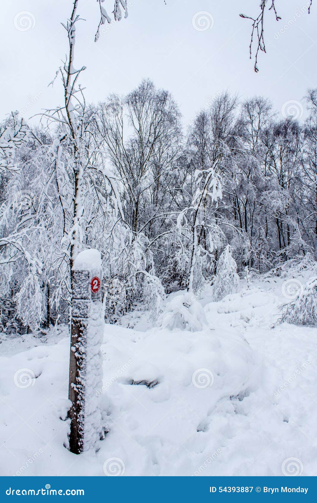 Path Marker in the Snow stock image. Image of black, marker - 54393887