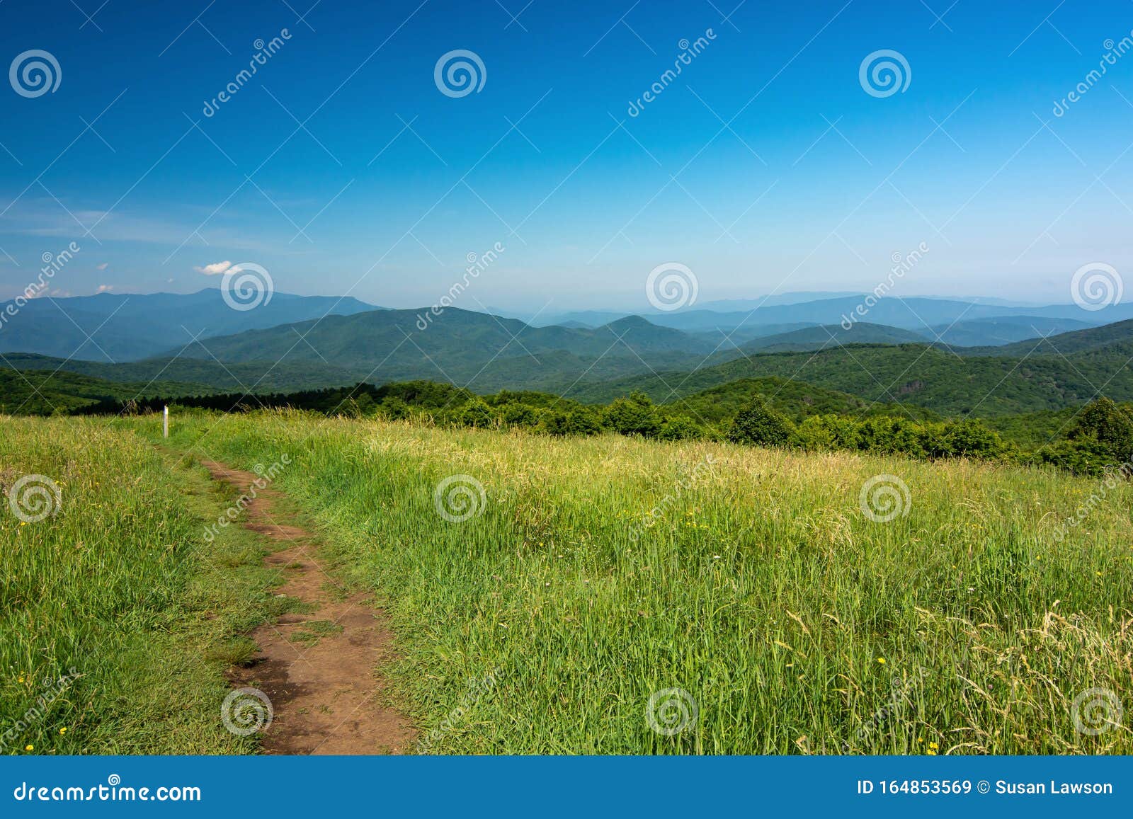 Path at Max Patch stock image. Image of meadow, path - 164853569
