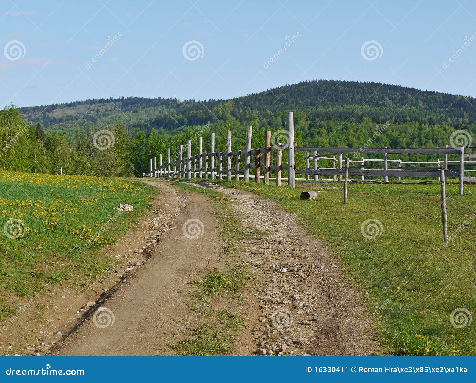 Path through the meadow stock image. Image of country - 16330411