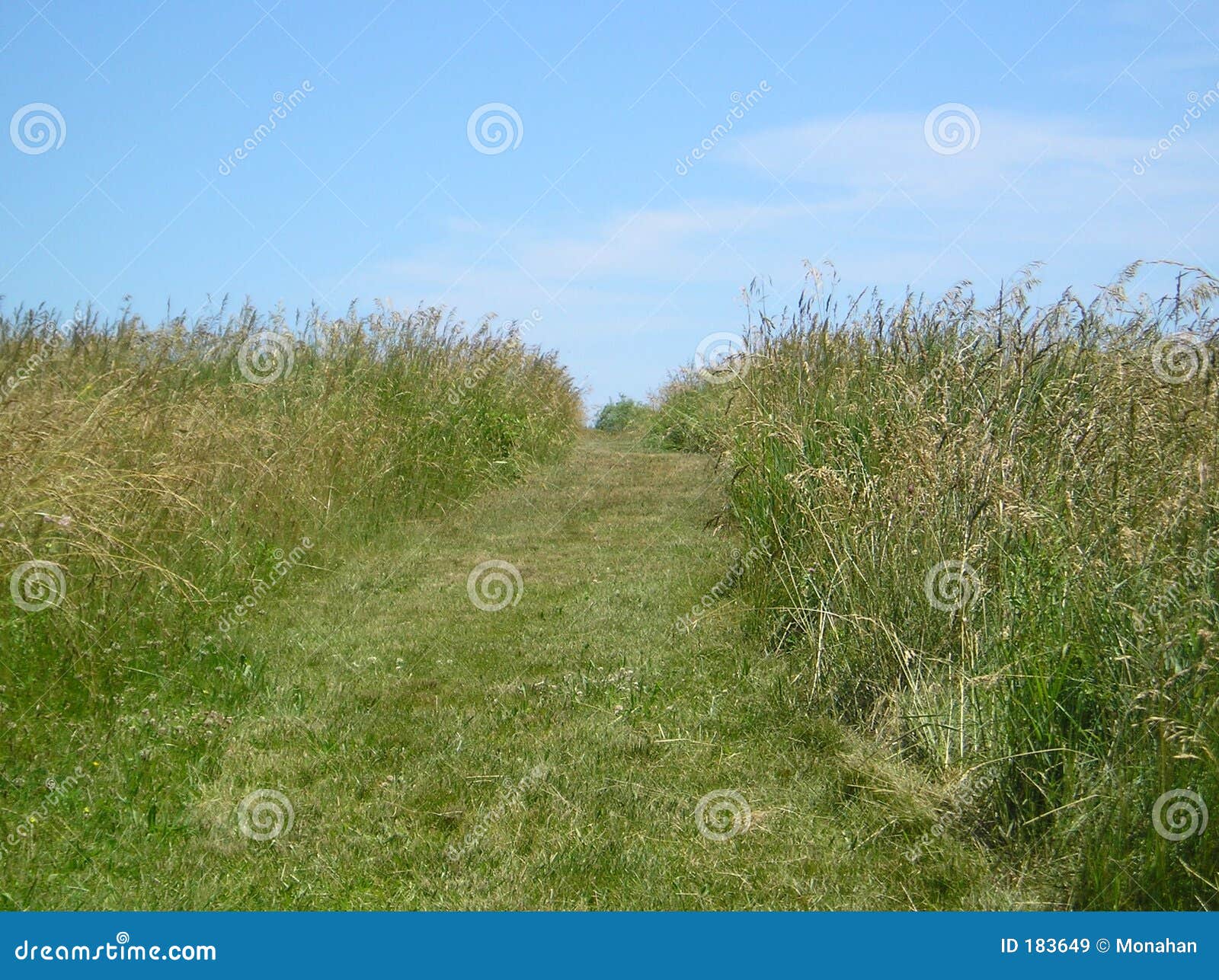 Path in Meadow stock image. Image of path, grass, road - 183649