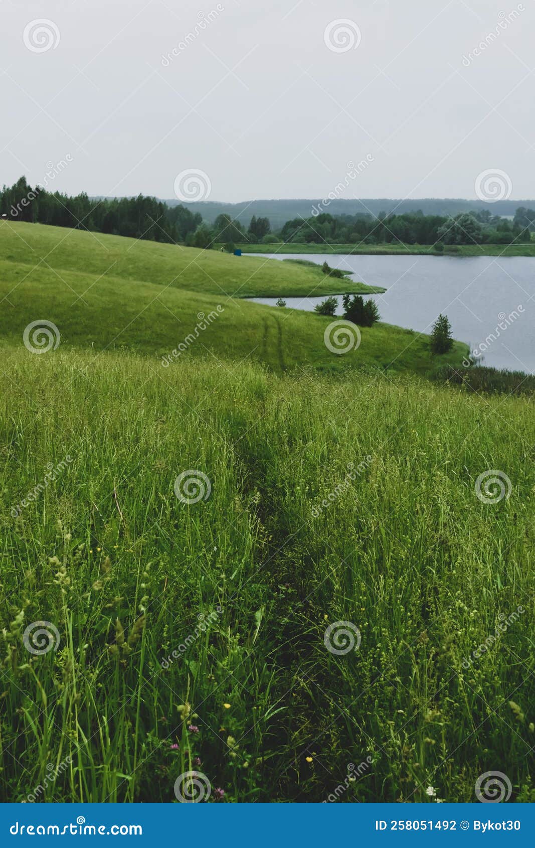 Path in the Meadow. Beautiful Summer Landscape. Lakes and Rivers Stock ...