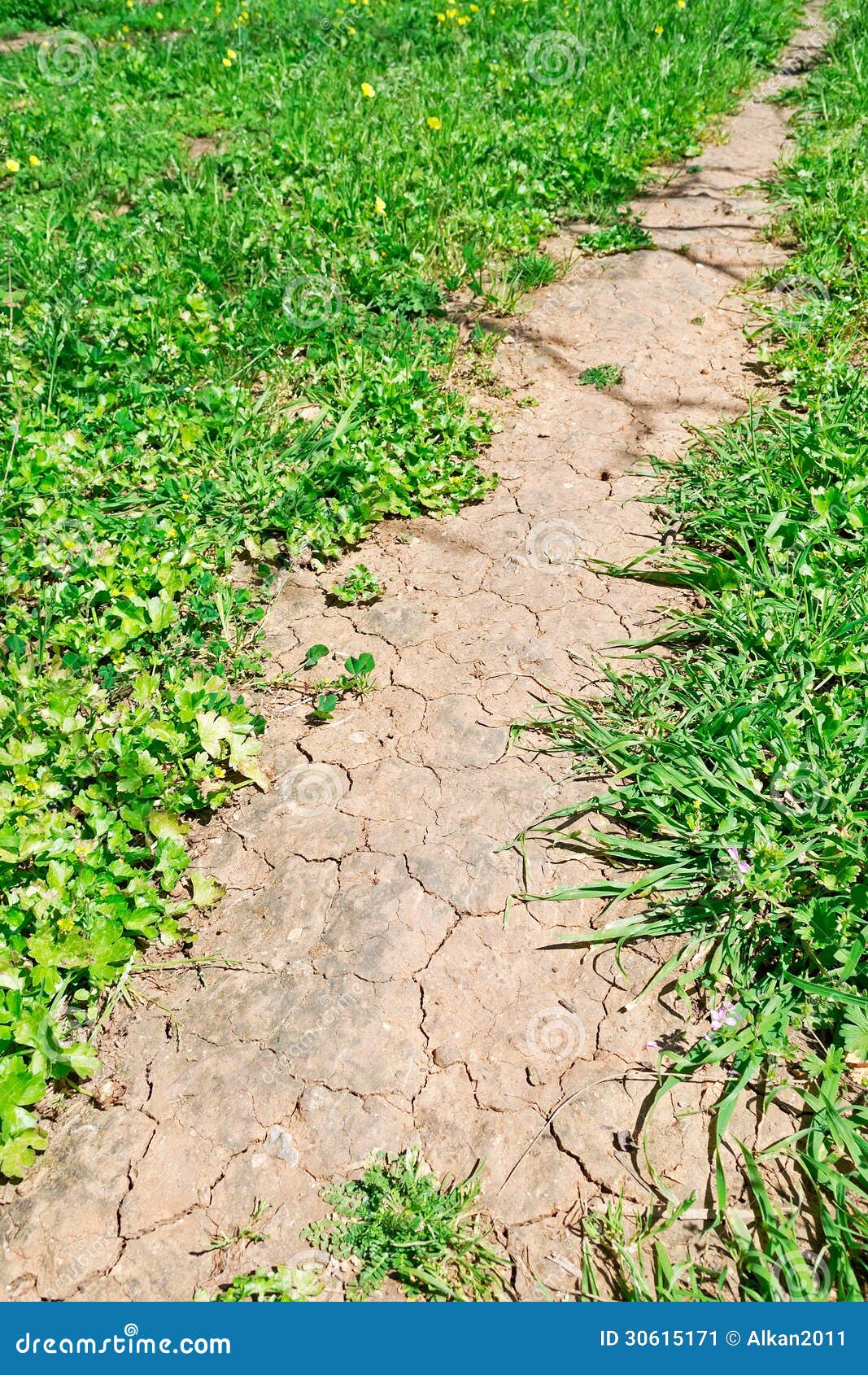 Path in the meadow stock image. Image of vibrant, land - 30615171