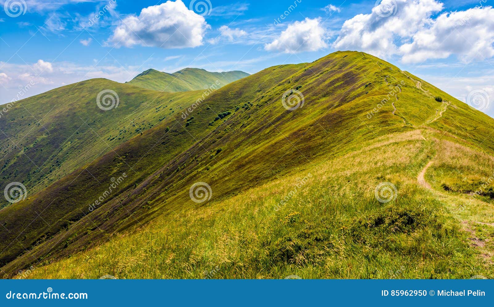 Path through a Meadow on Hillside Stock Photo - Image of grass, slope ...