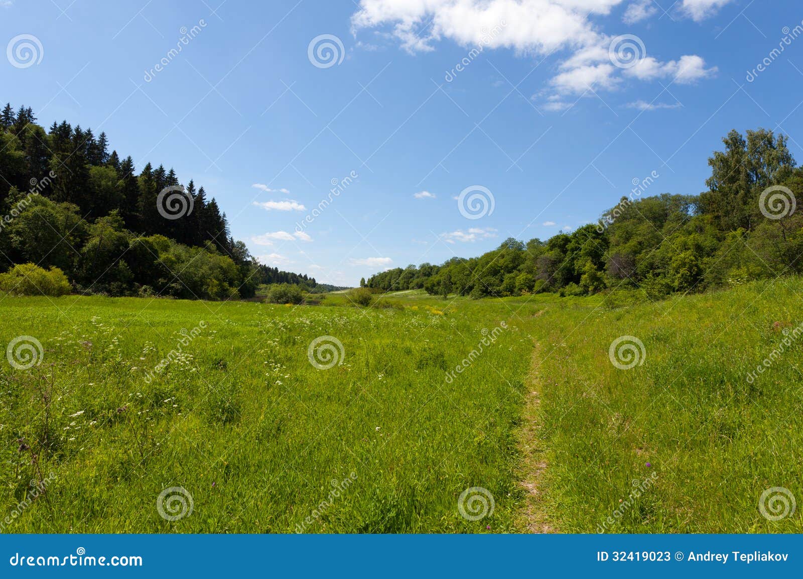 The Path through the Meadow Stock Image - Image of clouds, landscape ...