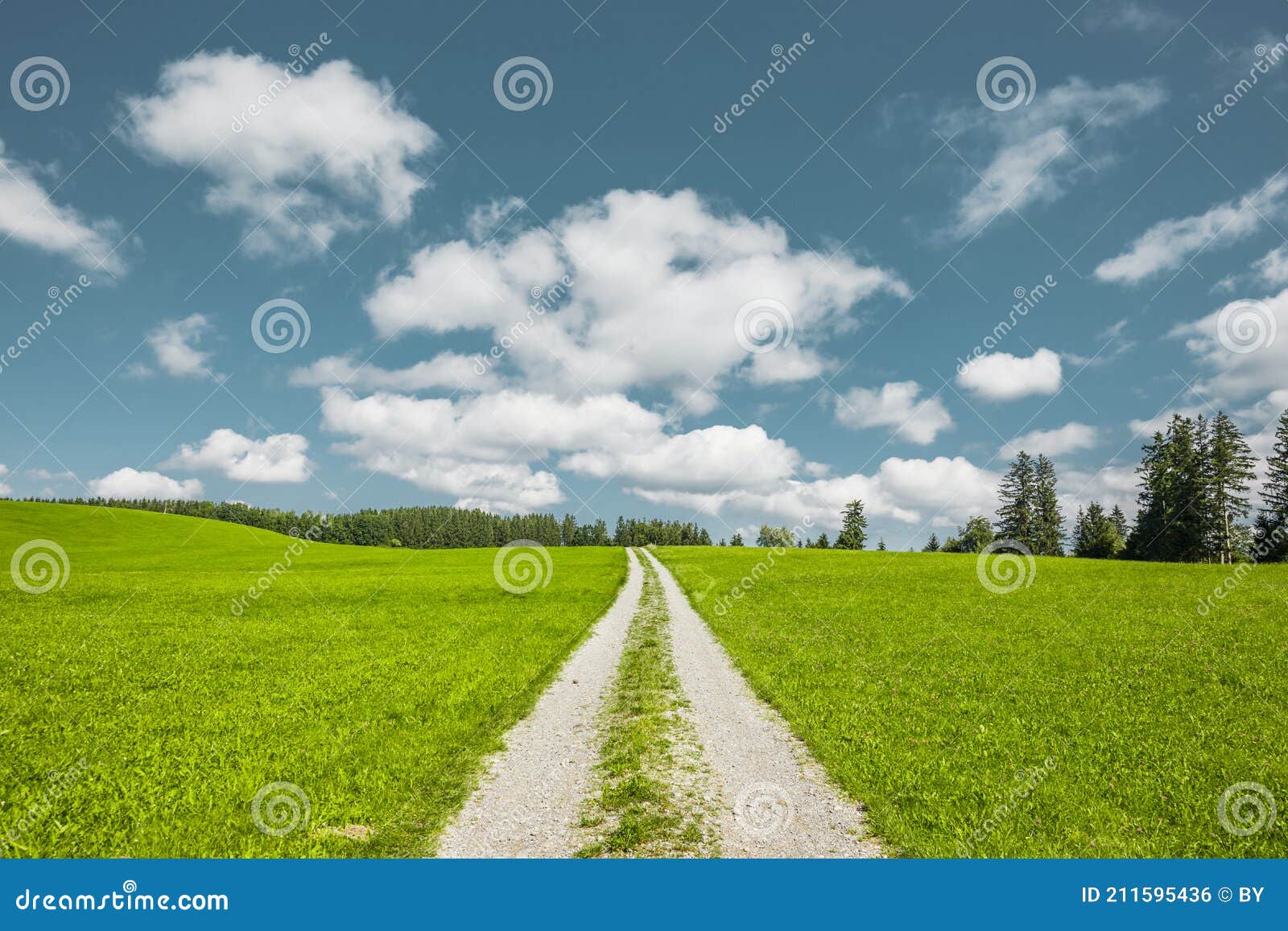 Path on a meadow stock photo. Image of meadow, spring - 211595436