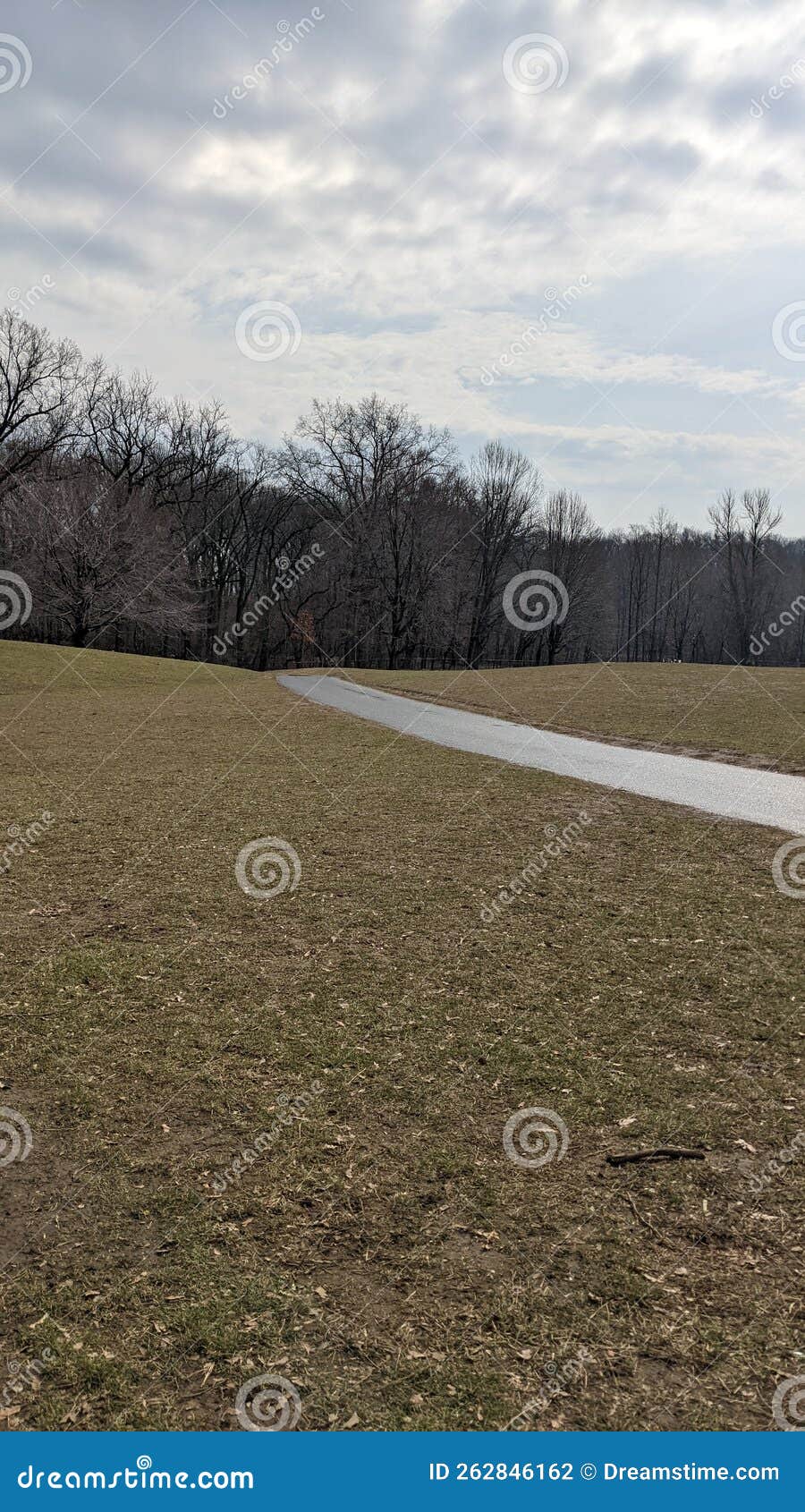Path meadow paved way road stock photo. Image of prairie - 262846162