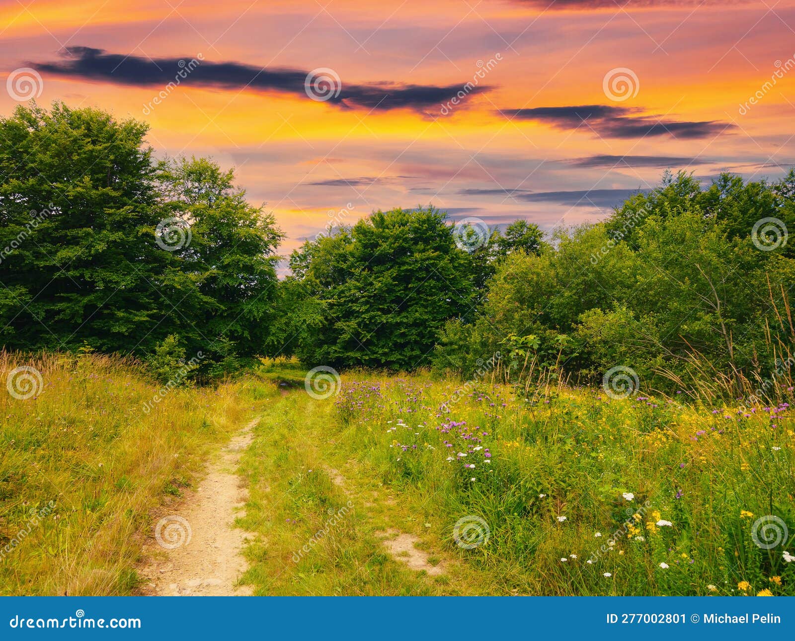 Path through Meadow in To the Forest Stock Image - Image of park ...