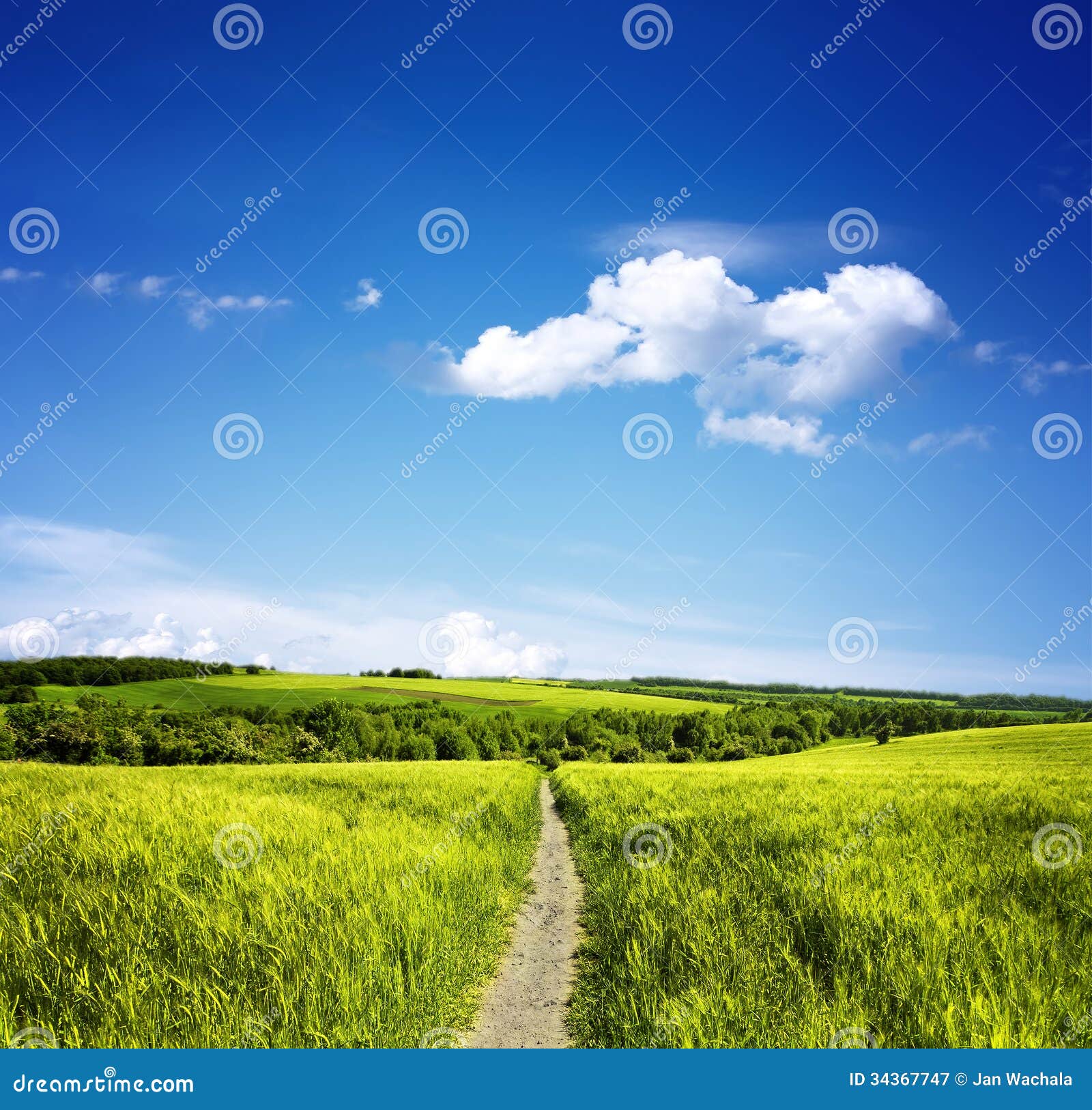 Path through the meadows stock image. Image of natural - 34367747