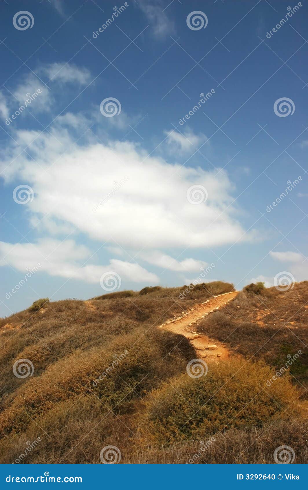 Path in the medow stock photo. Image of mountain, freedom - 3292640