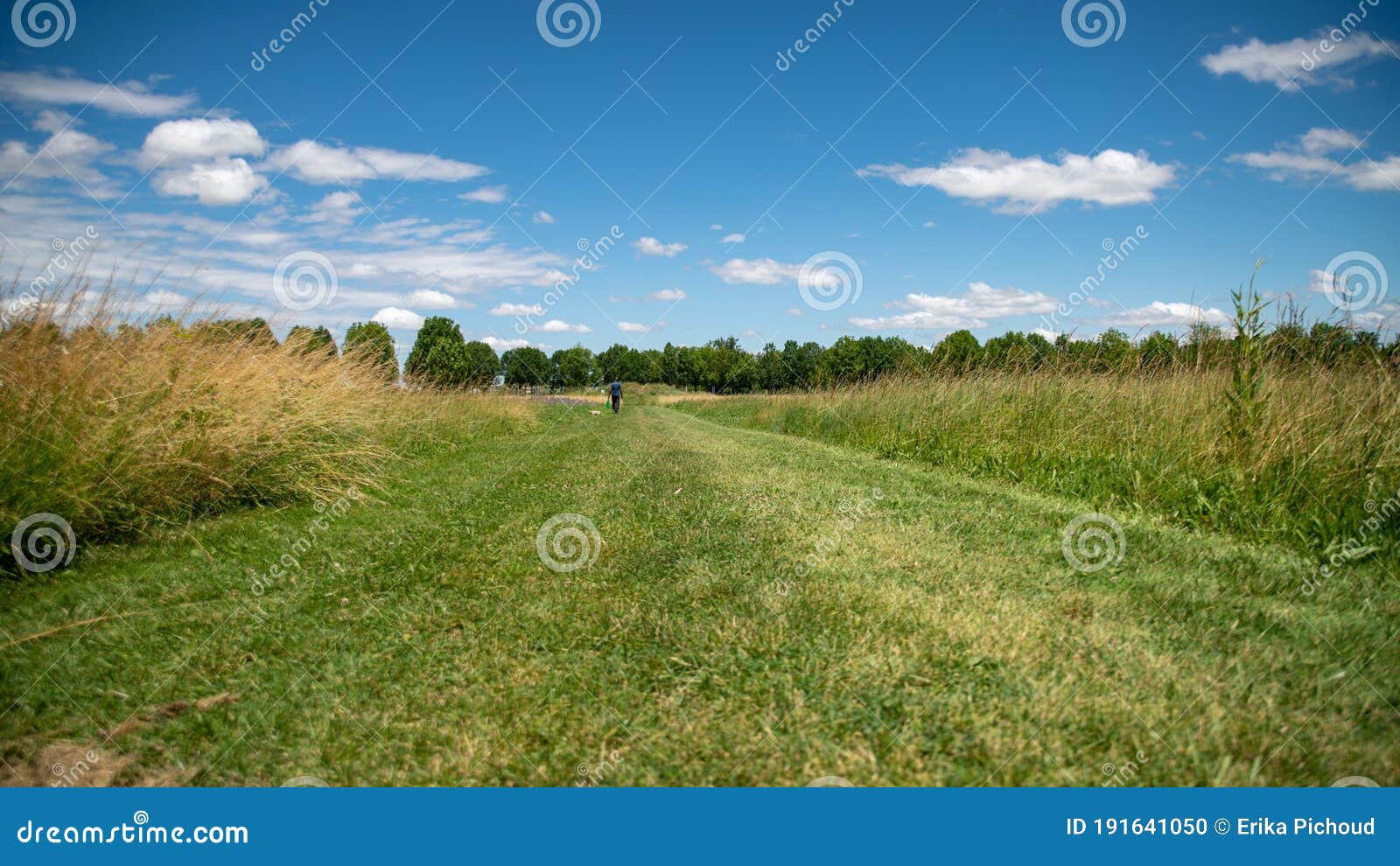 Path in the Middle of the Fields, and Alley of Trees in the Background ...