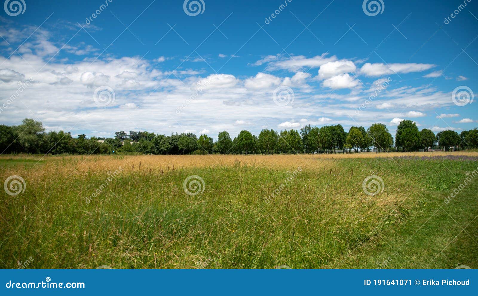 Path in the Middle of the Fields, and Alley of Trees in the Background ...