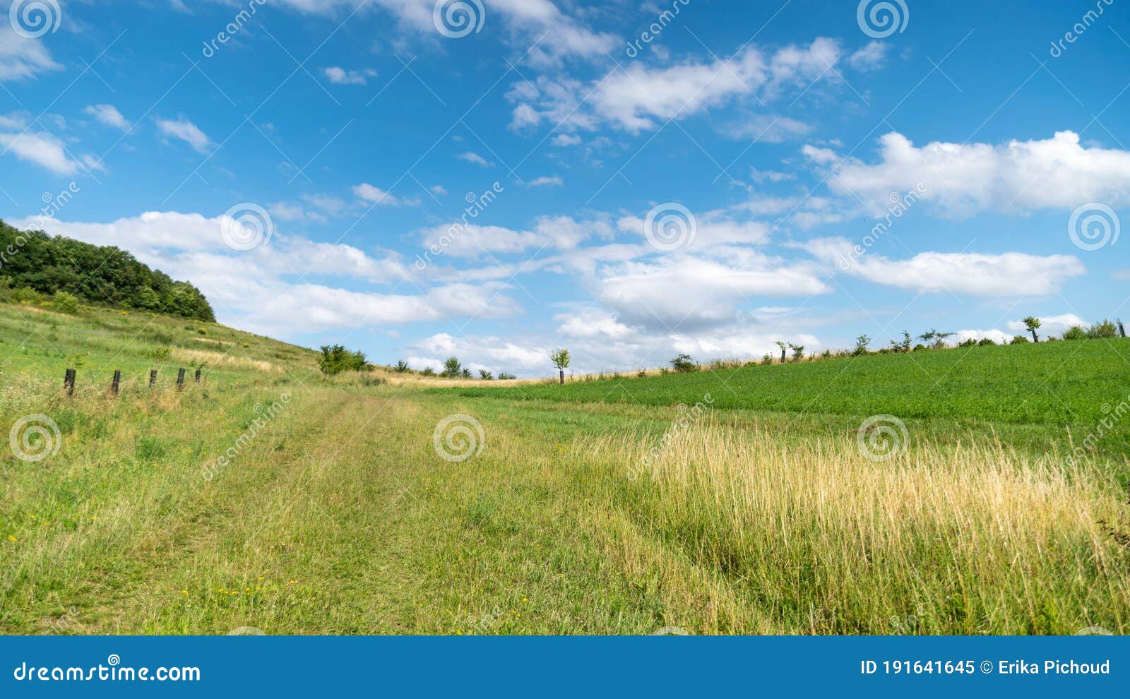Path in the Middle of Fields, Meadows and Hills, Trees in the Distance ...