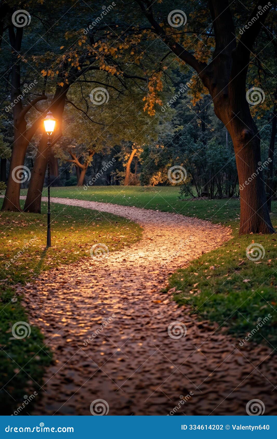 A Path in the Middle of a Park with a Street Light in the Distance ...