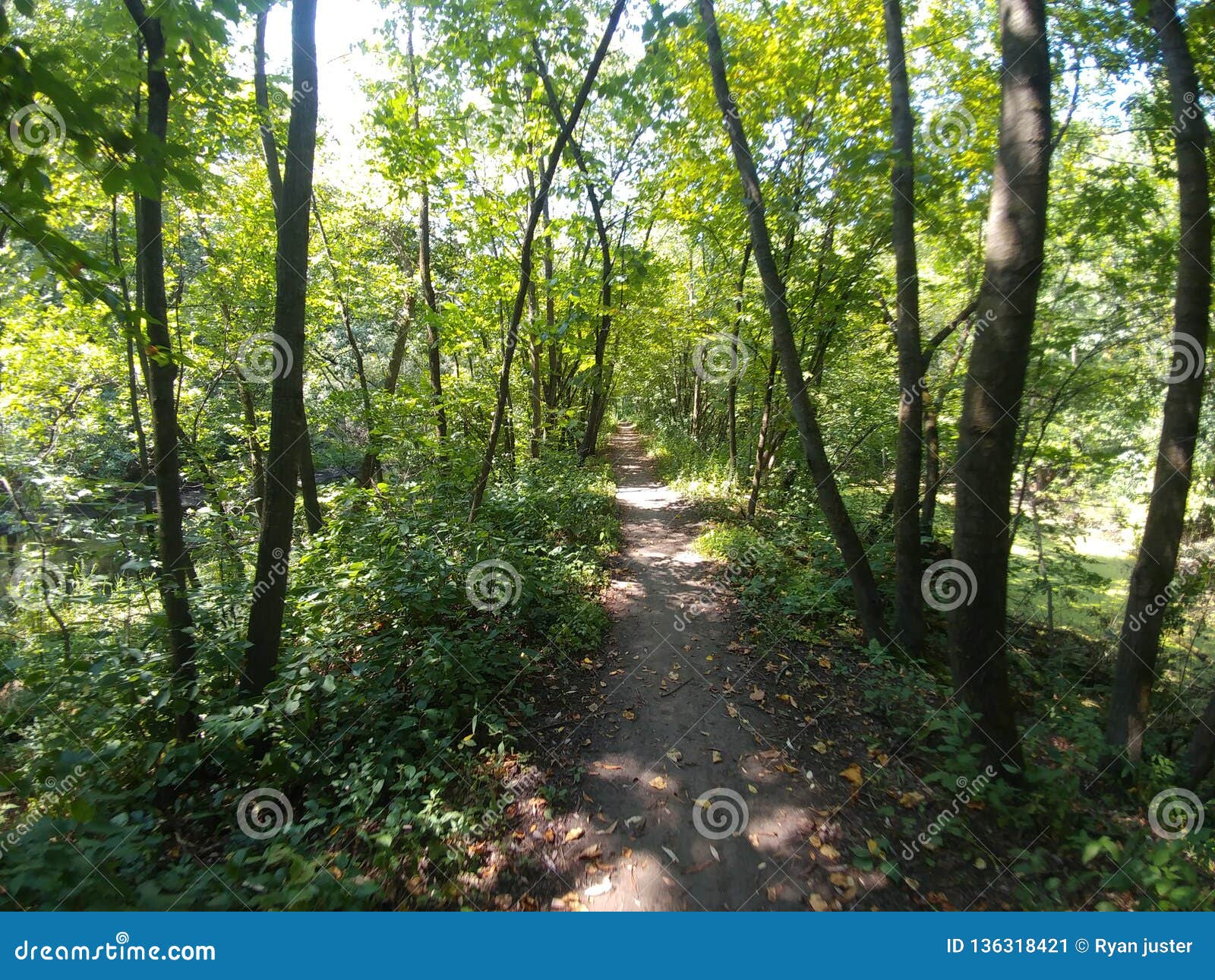 Path of stock image. Image of path, minnesota, trail - 136318421
