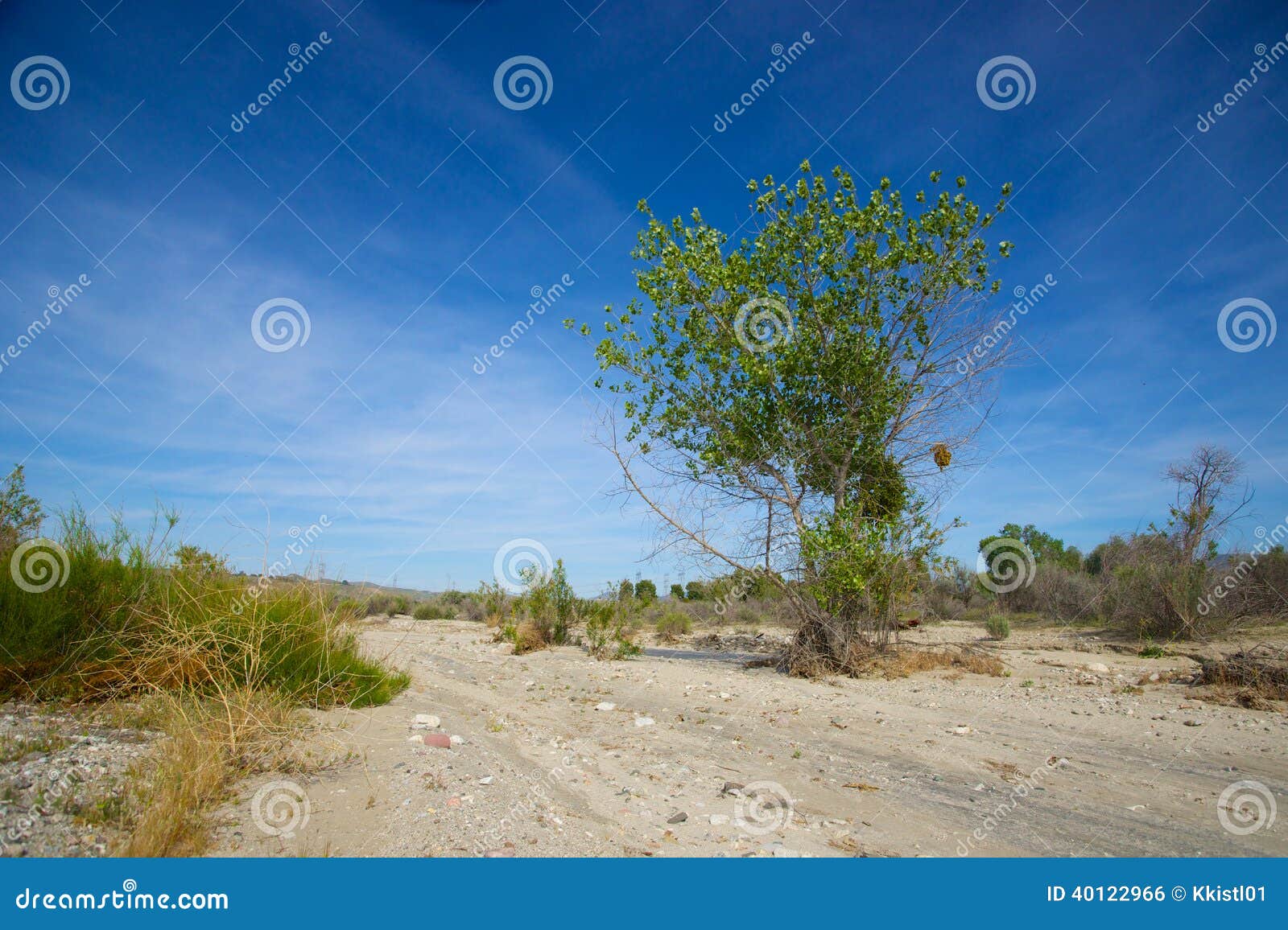 Path through Mojave Desert stock photo. Image of mojave - 40122966