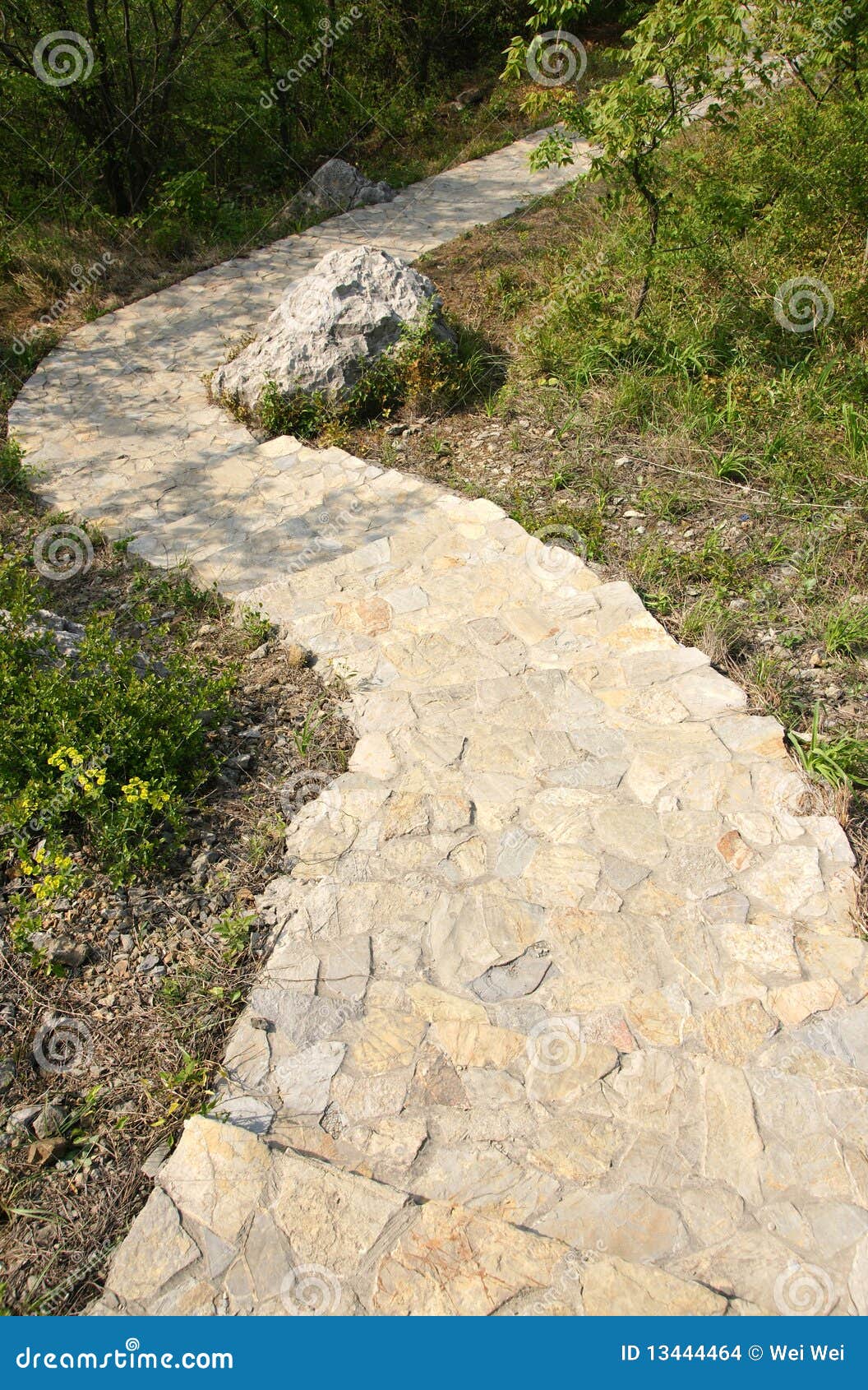 Path in the mountain stock photo. Image of forward, plant - 13444464