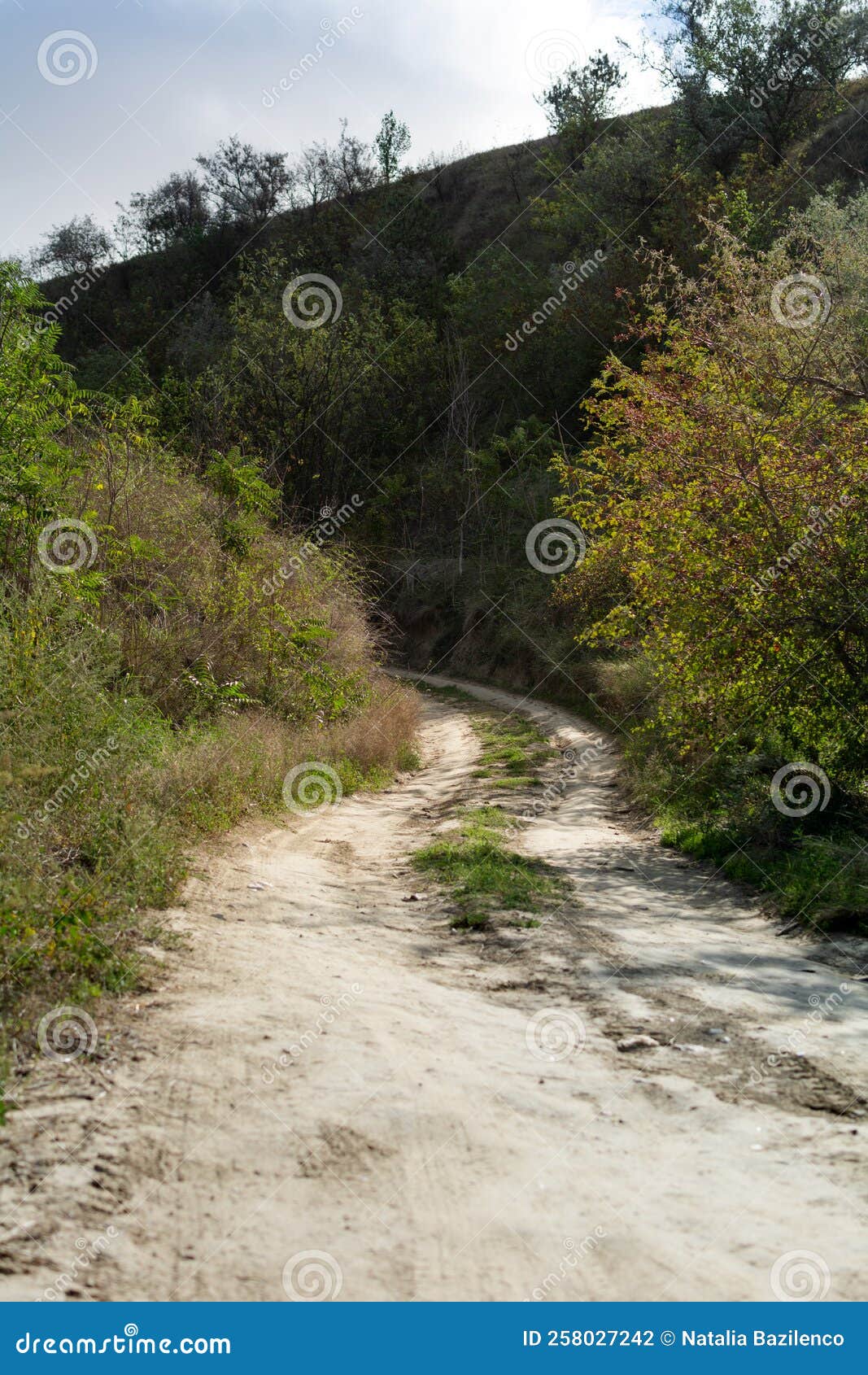 Path in the Mountain Bush. Path Leading To Hills and Slopes Stock Photo ...