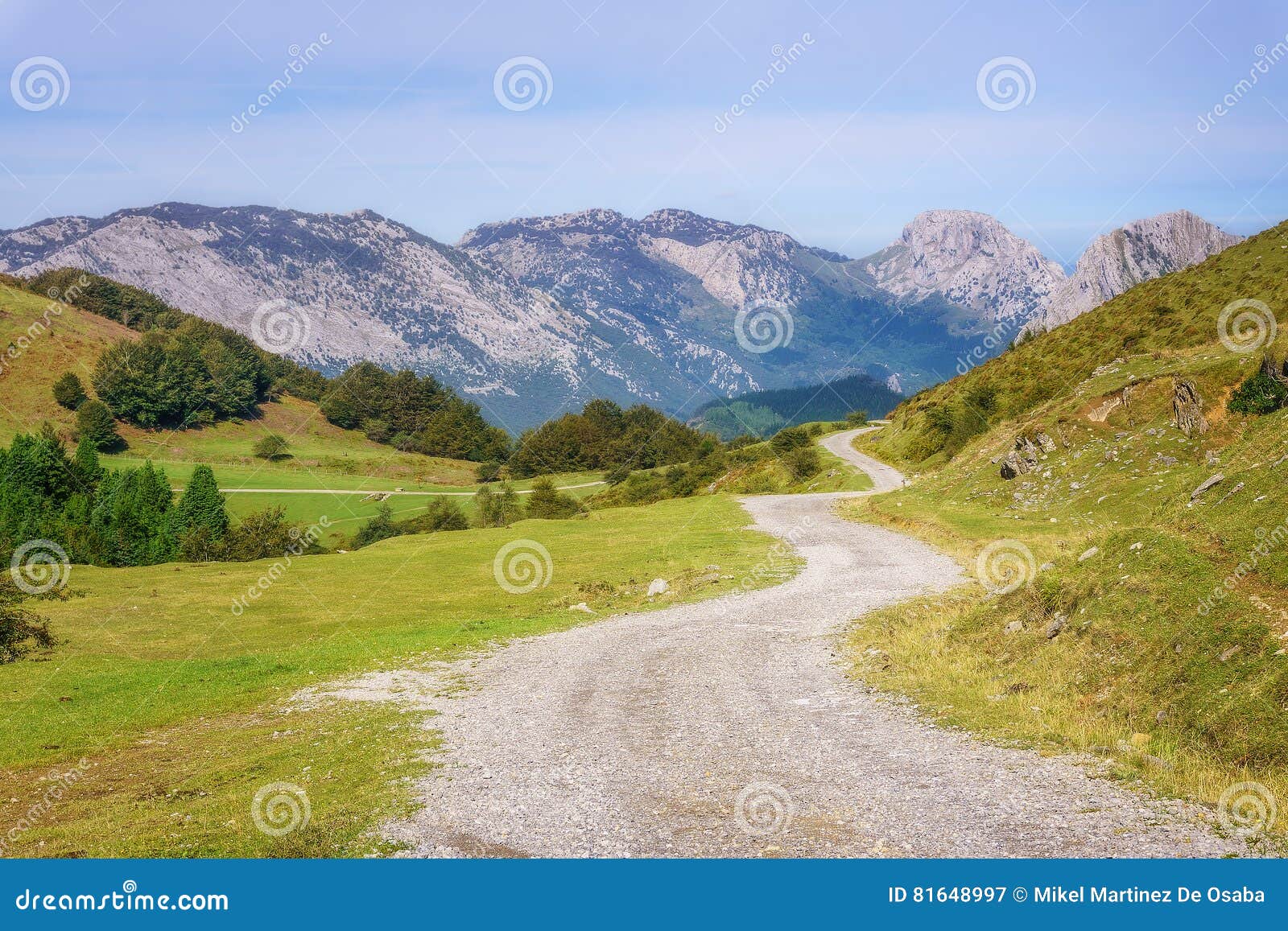 Path in the mountain stock image. Image of landscape - 81648997