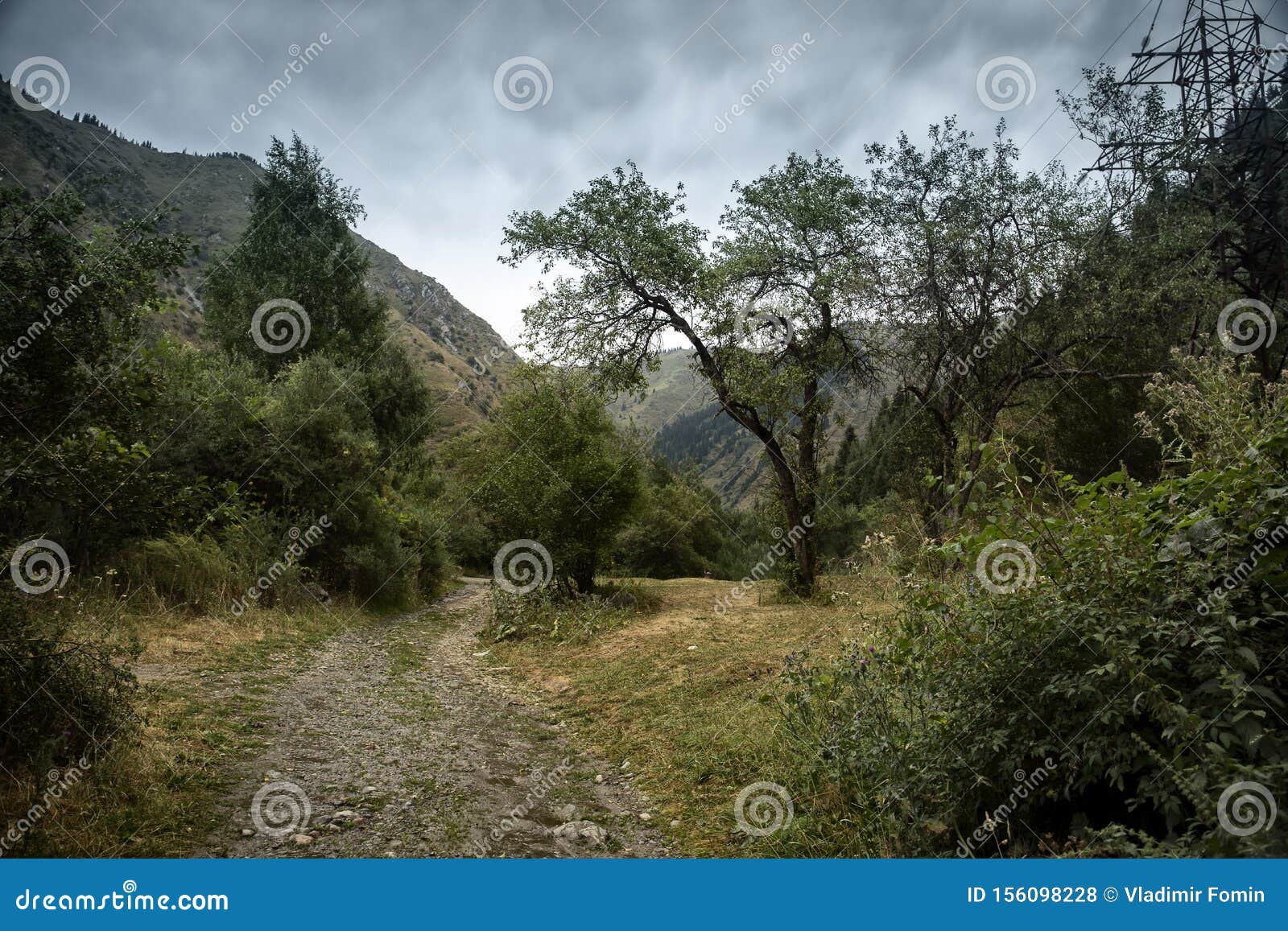 Path in a mountain forest. stock photo. Image of background - 156098228