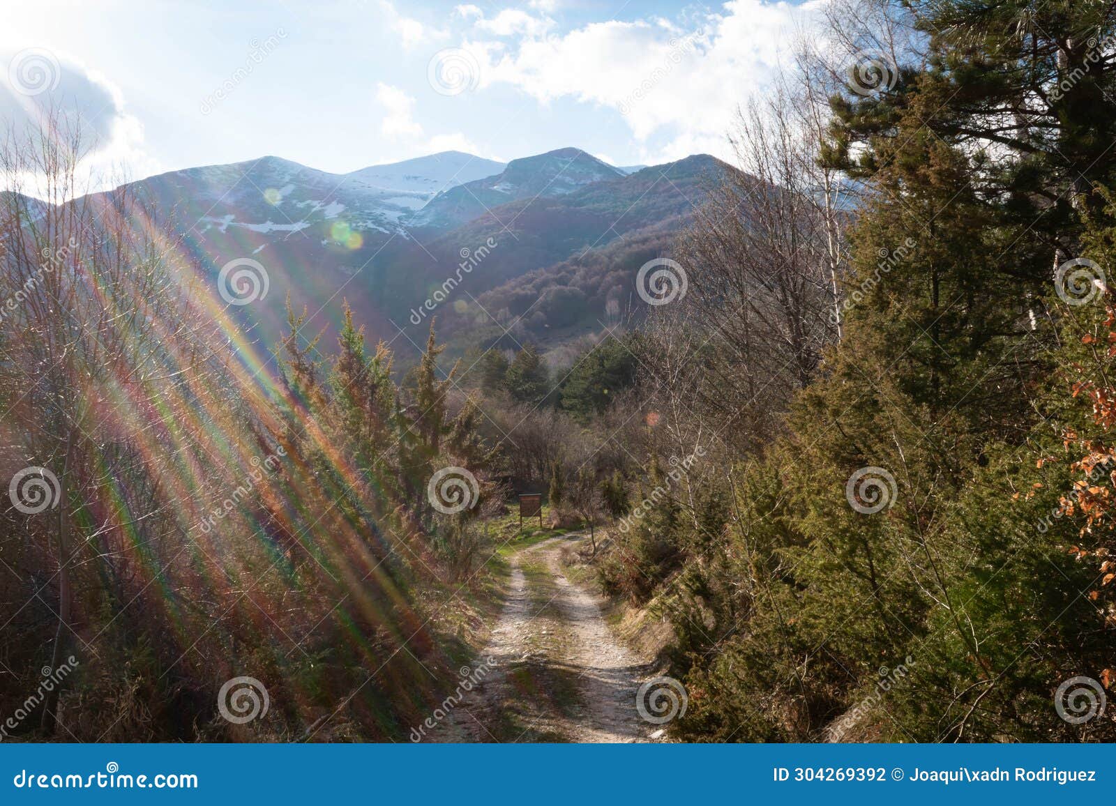 Path in the Mountain Forest Stock Photo - Image of clouds, forest ...