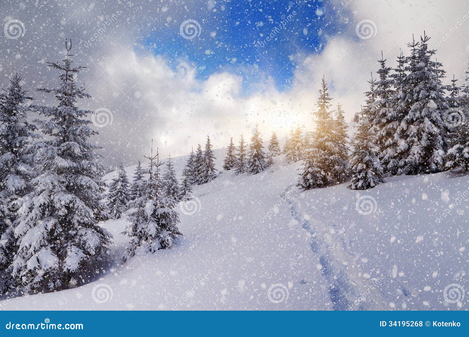 Path in the Mountain Forest Stock Photo - Image of snow, park: 34195268