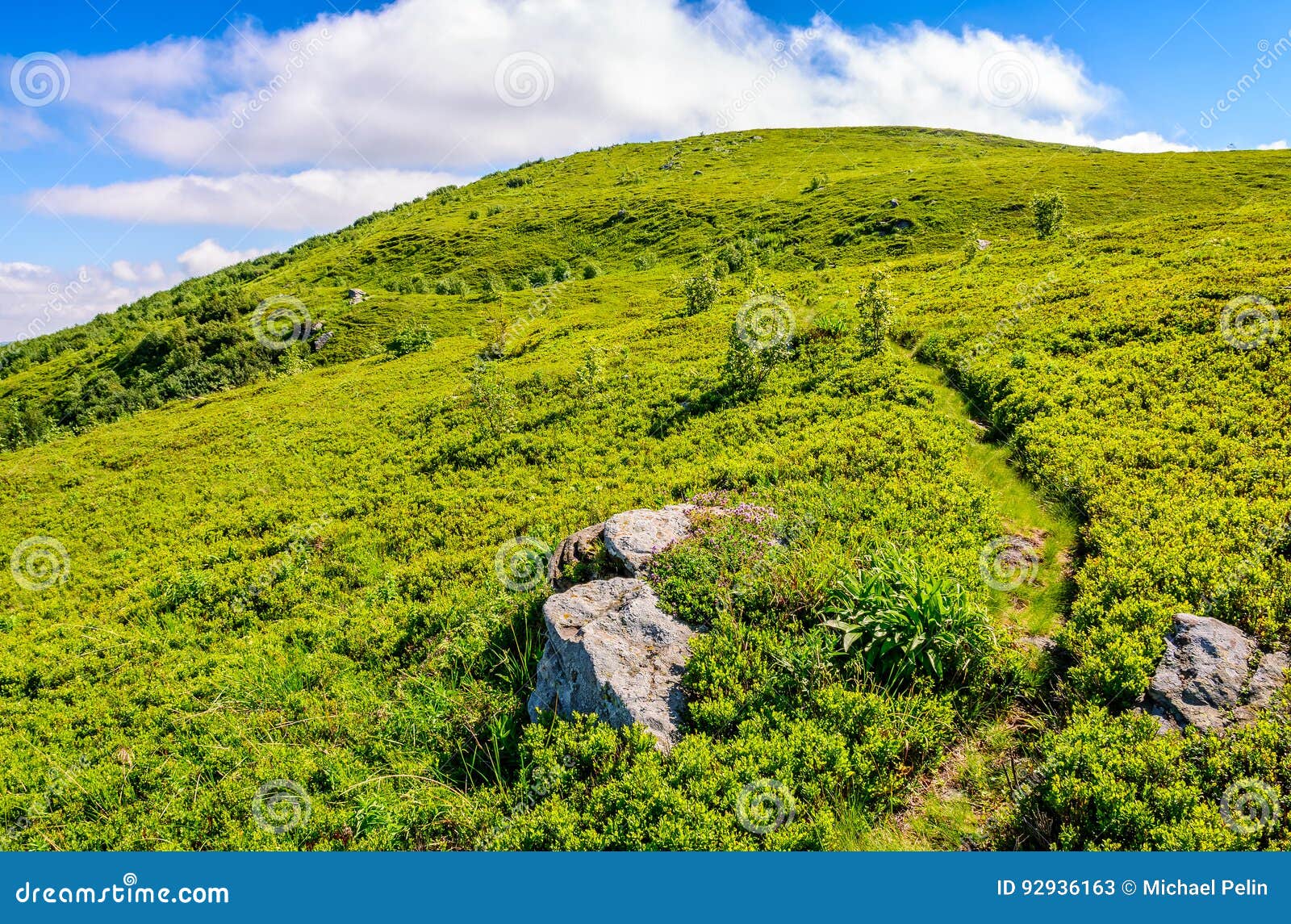 Path through the Mountain Ridge Stock Image - Image of hike, green ...