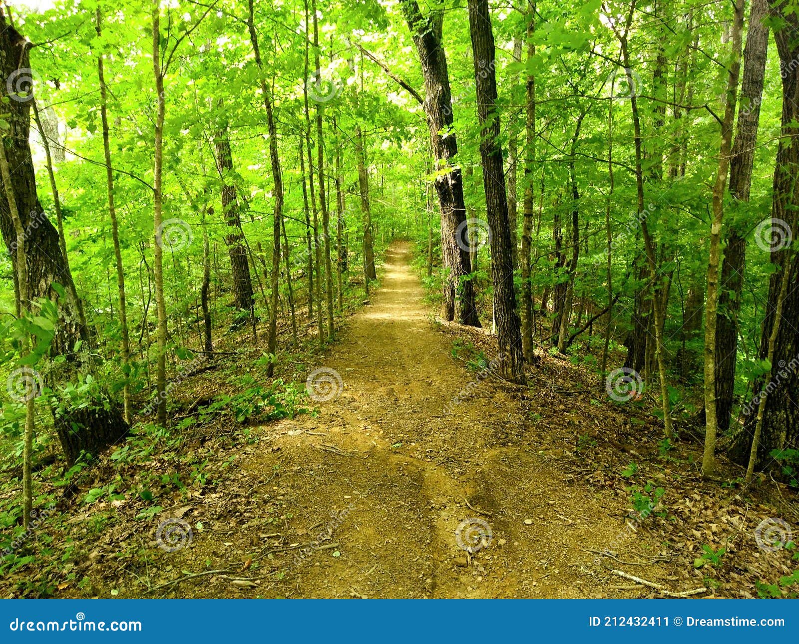 Path on mountain top stock image. Image of summer, hiking - 212432411