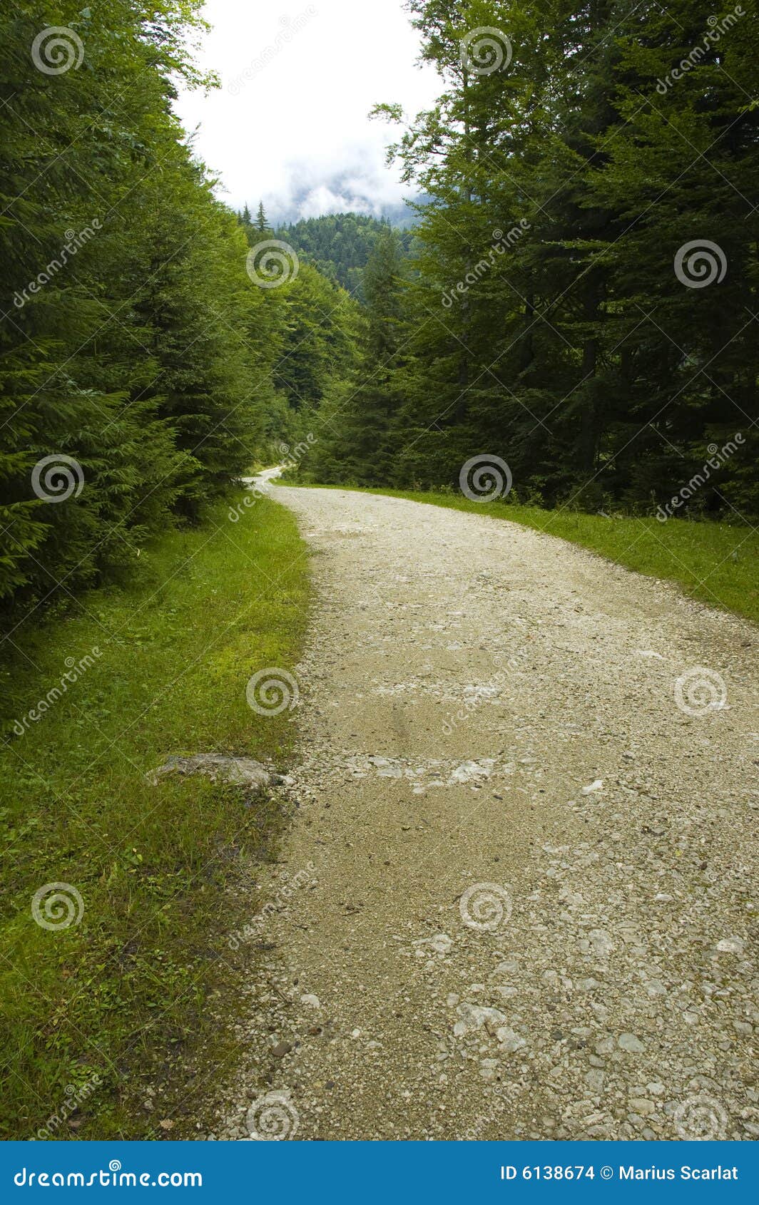 Path in the mountains stock photo. Image of leaf, tranquility - 6138674