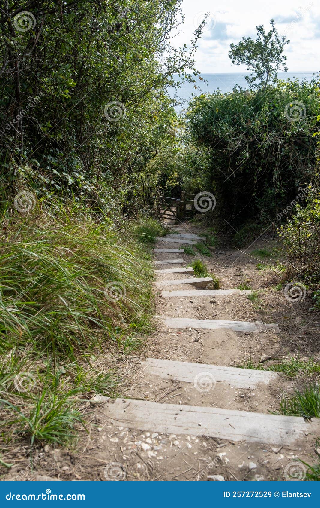 Path through Mountains ,stone Step Close Up Stock Image - Image of path ...