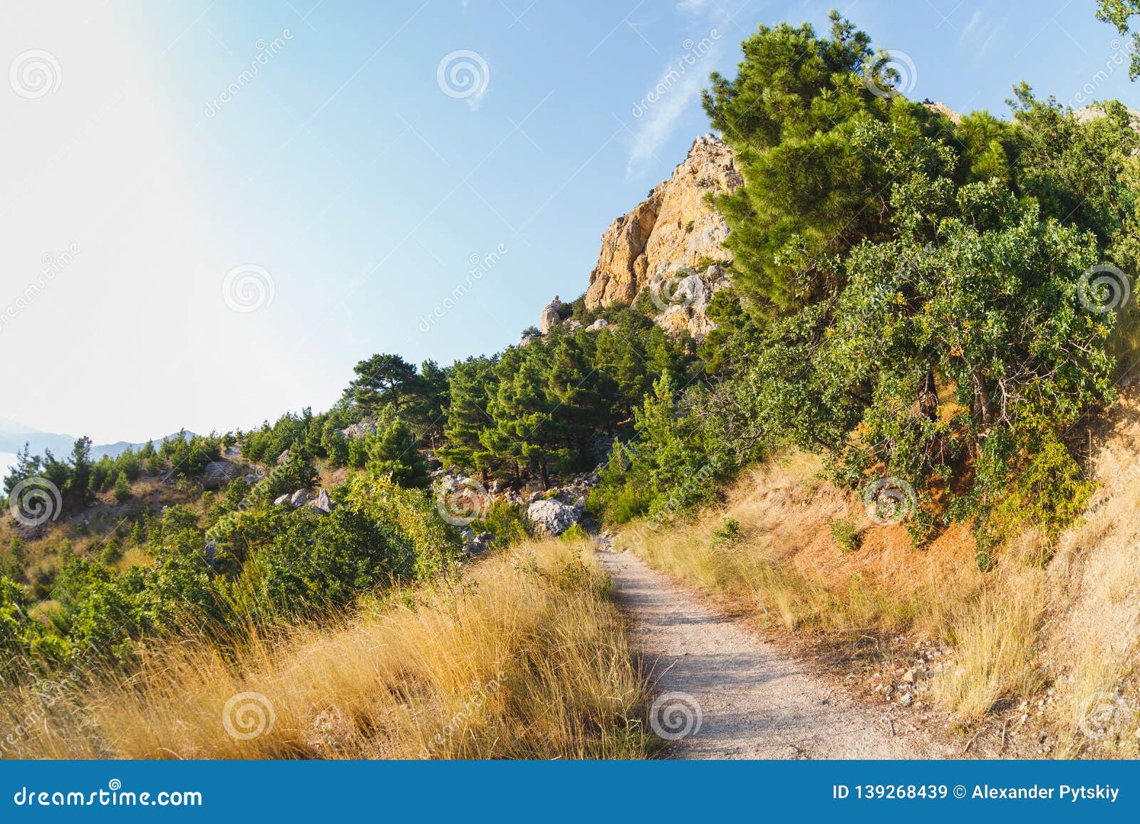 The Path in the Mountains through the Thickets of Juniper. Day Sun ...