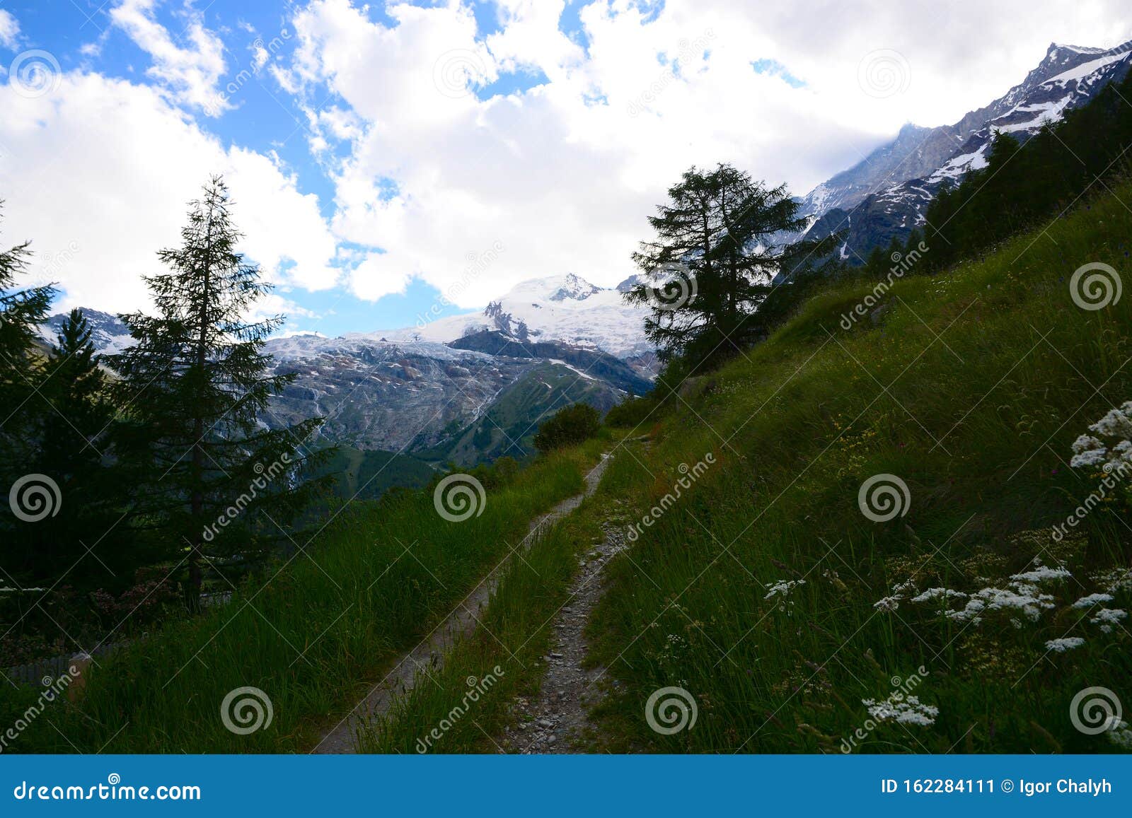 Path on a Mountainside in the Forest Against the Backdrop of Eternal ...