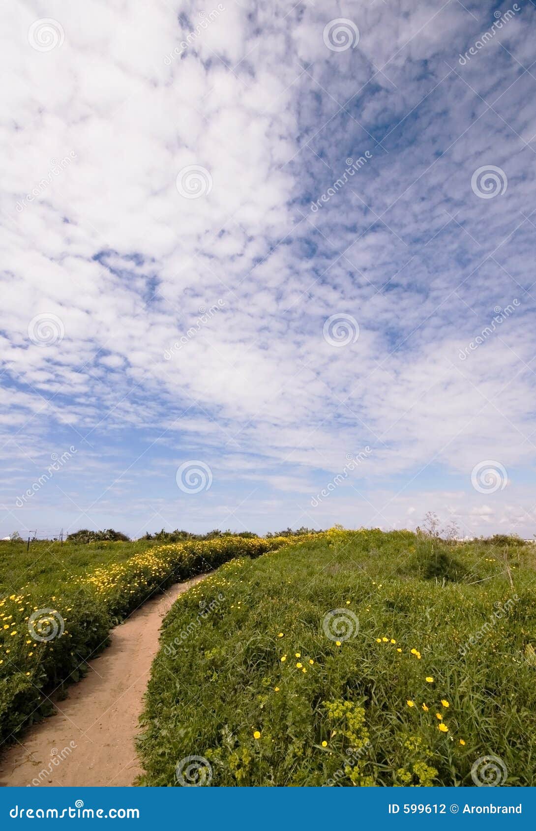 A path in nature stock photo. Image of nature, environment - 599612