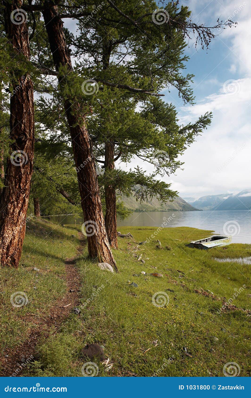Path near lake stock photo. Image of cloudy, high, green - 1031800